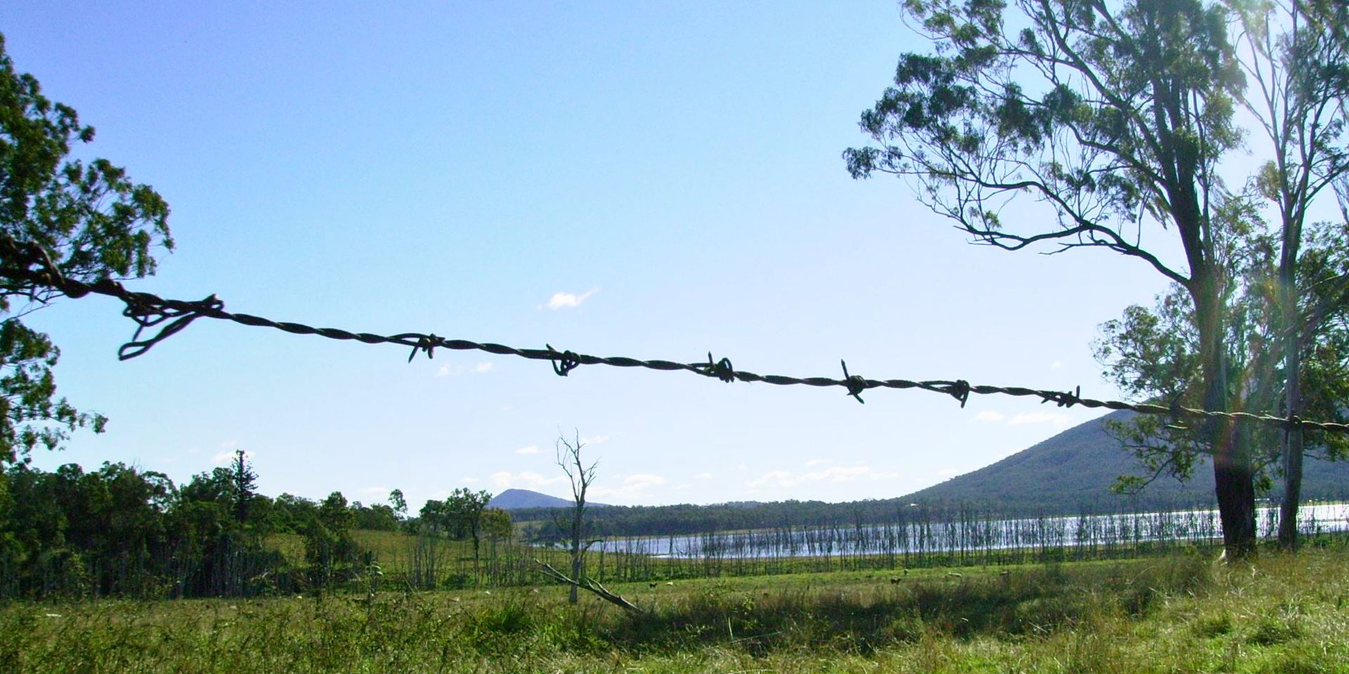 Year 9 Australian History Lessons and Resources - History Skills