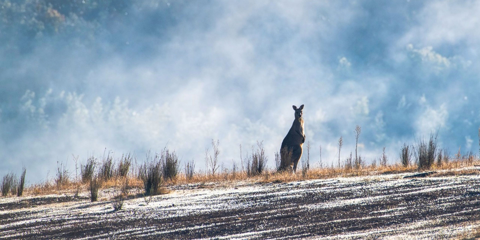 What is ‘Deep Time’ history of the First Nations People of Australia ...