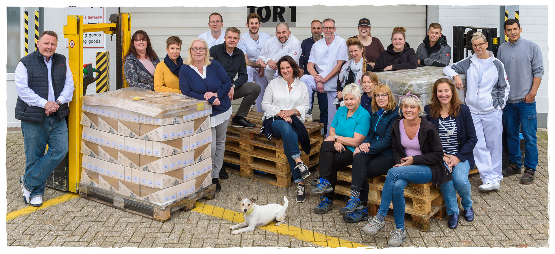 About us - Hansepet | Natürliche Premium Snacks für Hunde und Katzen