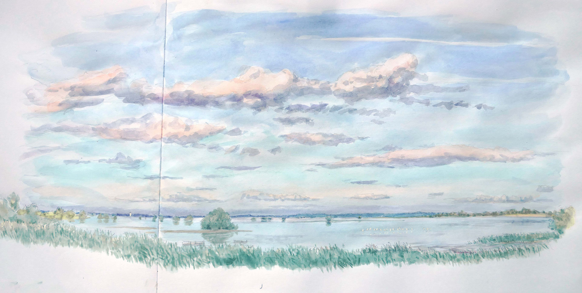 Jean Chevallier peintre illustrateur animalier nature - jean chevallier ...