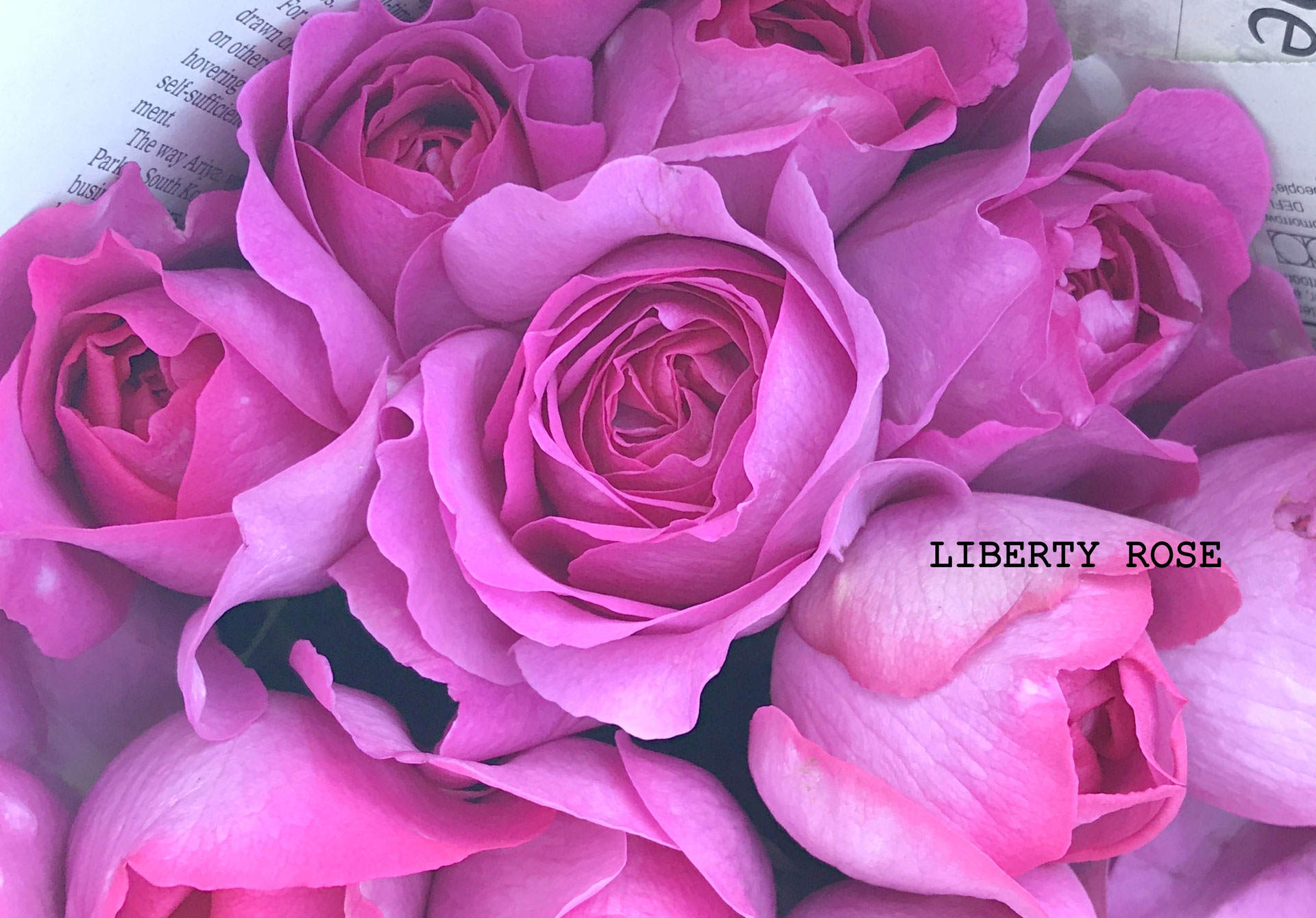 “LIBERTY ROSE” オフィシャル Blog - LIBERTY ROSE リバティ・ローズ｜フラワースクール