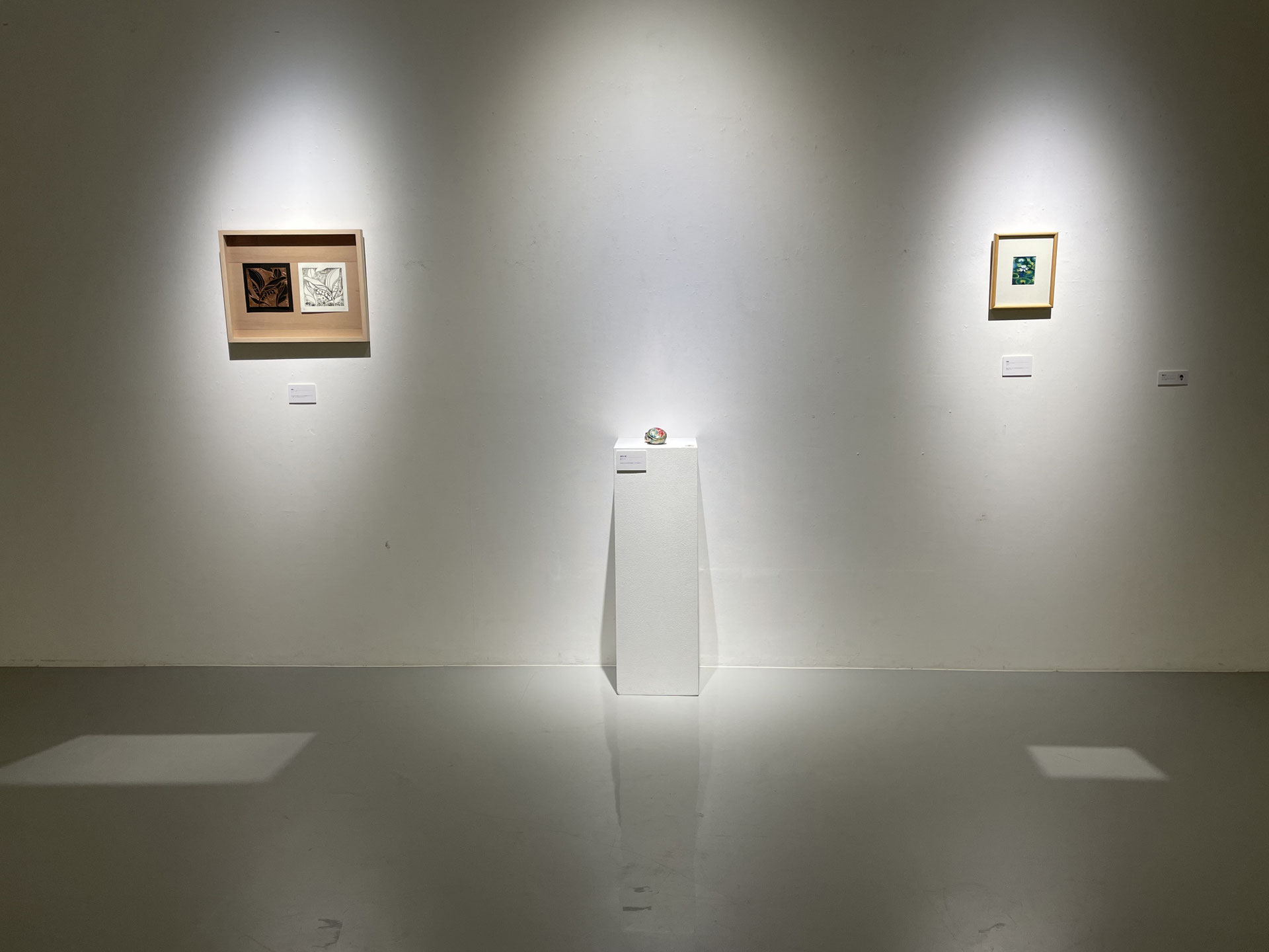 助手展の展示 - aya-shimada ページ！