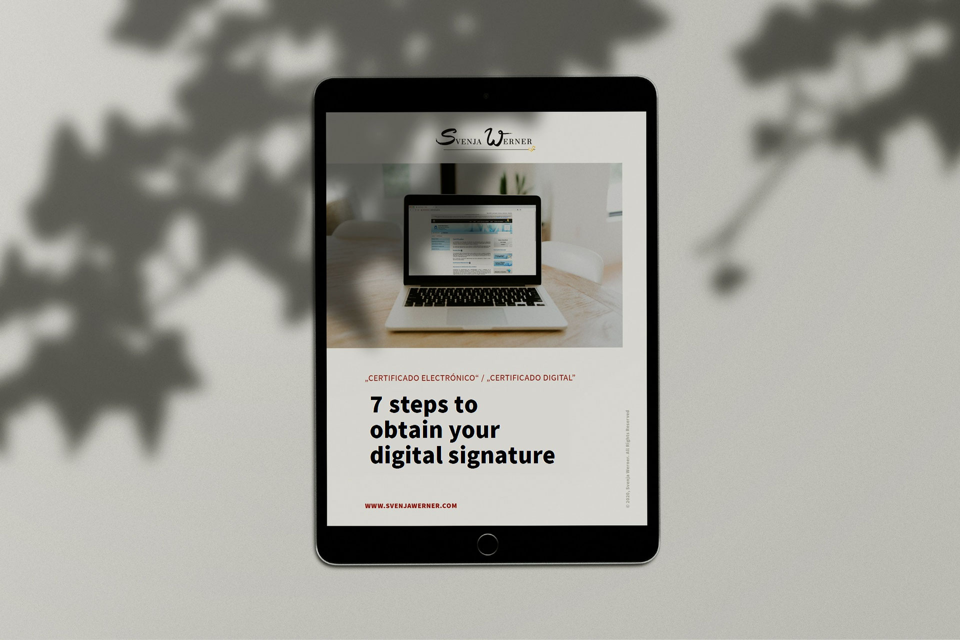 eBook: How to obtain your digital signature in Spain - Svenja Werner ...