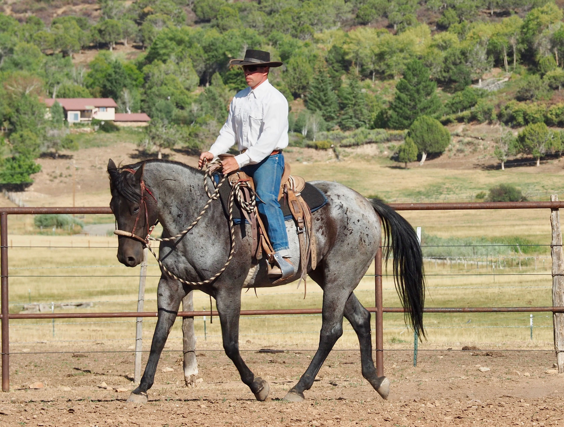 Vaquero Style Riding - HETS - Die Schule für NHMS