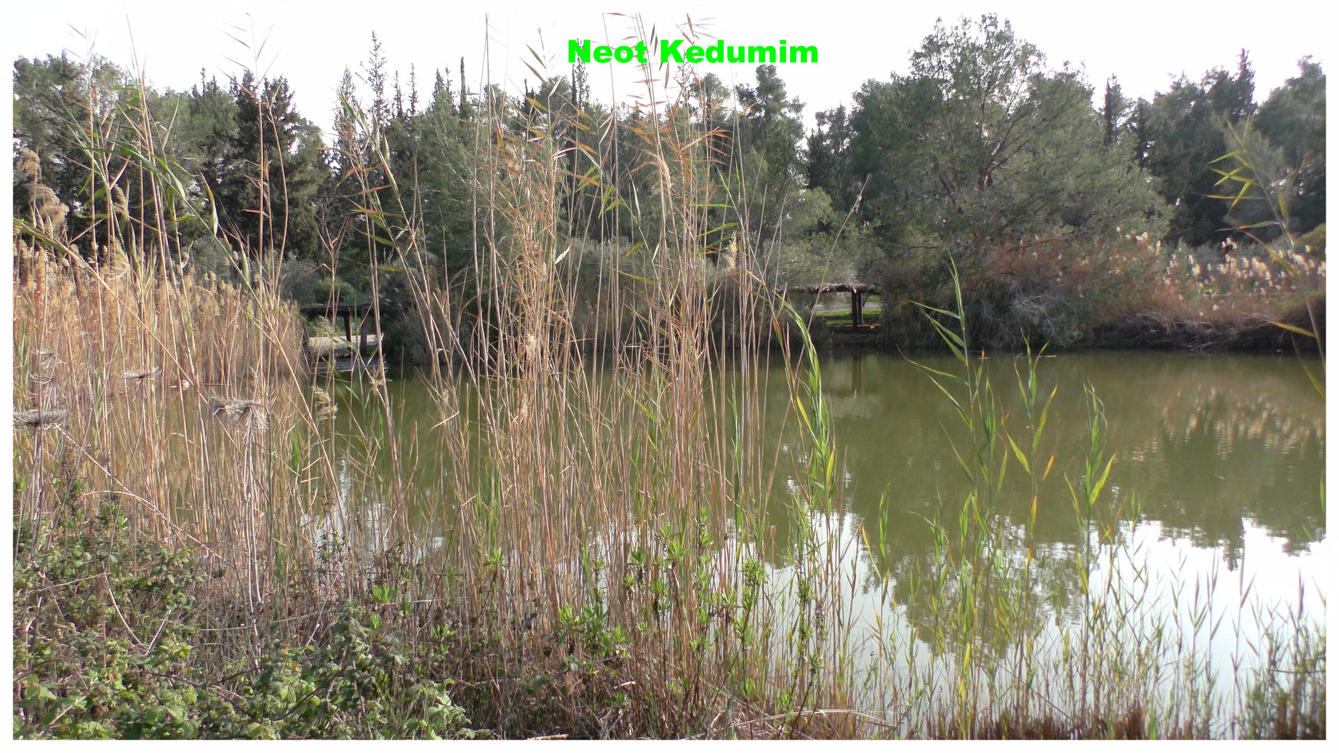 Neot Kedumim Biblical Landscape Reserve