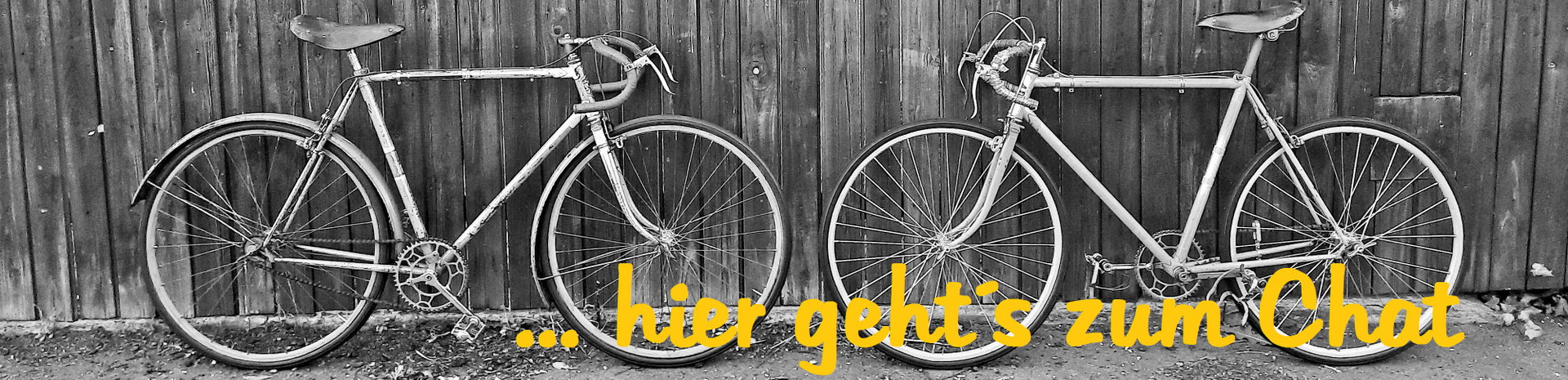 alle 167 er Modelle - Diamant Rennrad