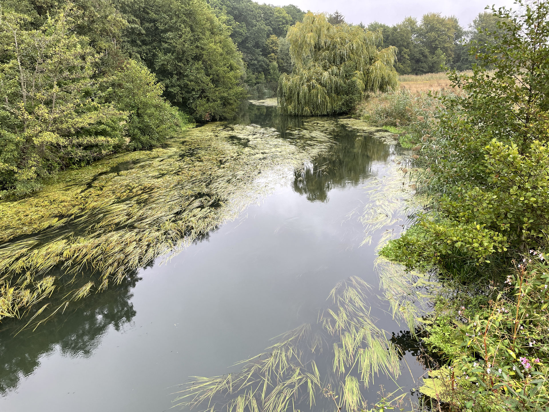 Spaziergang an der Innerste zwischen Heinde und Hockeln ...