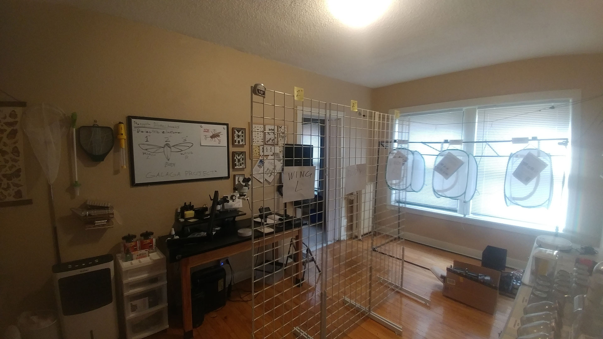 Entomology Lab - Website of robzworkz!