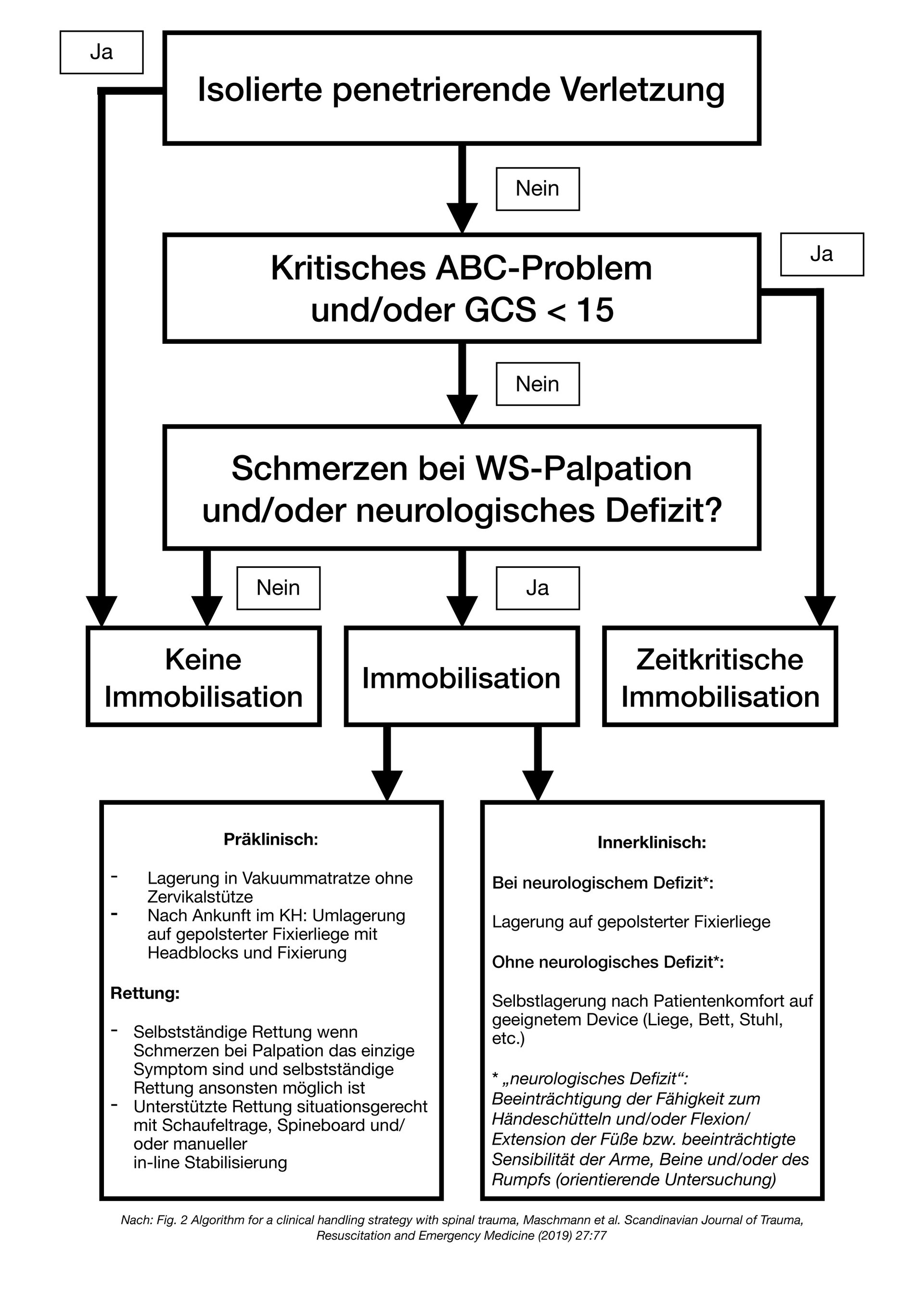 HWS-Immobilisation - Löffler Notfallmedizin - Medical Products ...