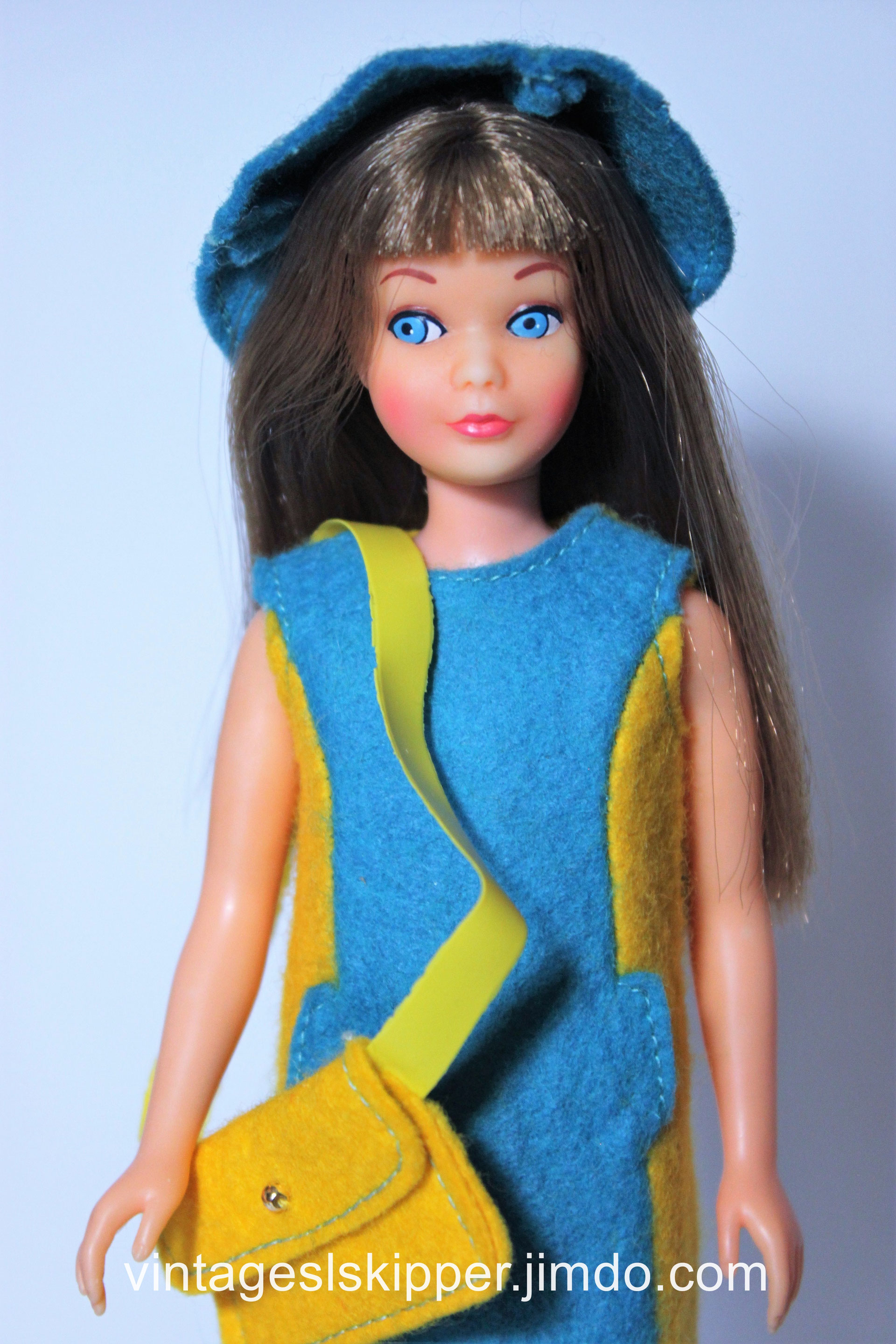 Special Skipper Dolls "Emily's Girls" - Skipper Doll Website (Barbie's ...