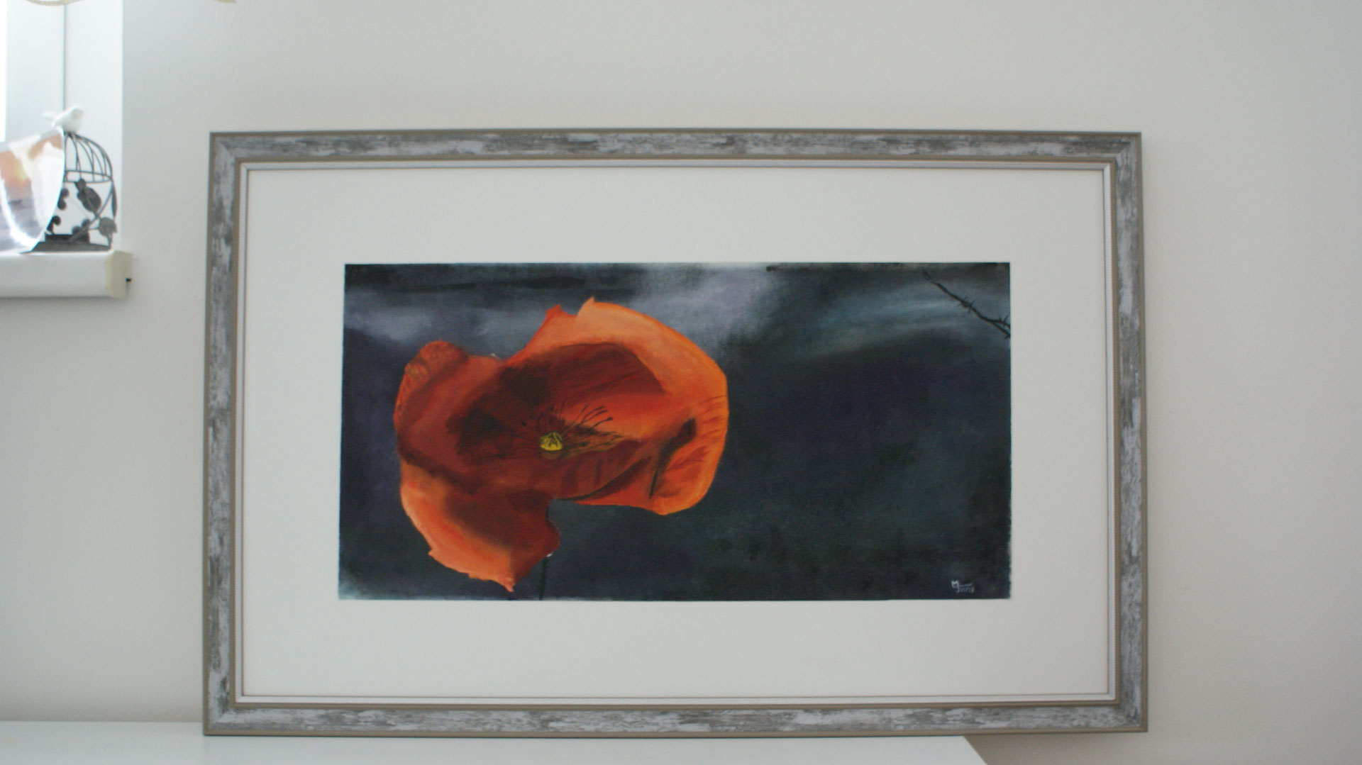 Poppy 100 - combipic