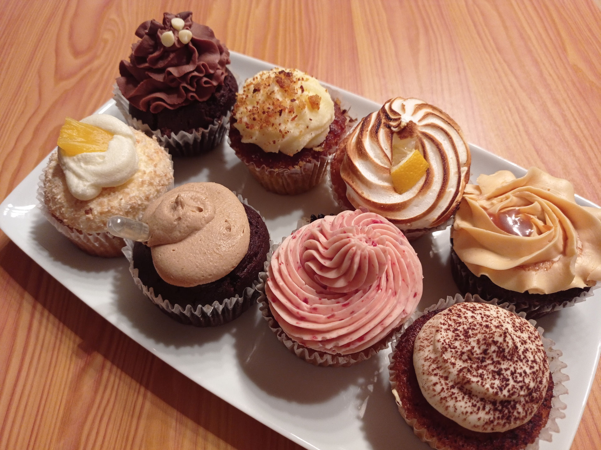 Briose - costacheinjurullumii