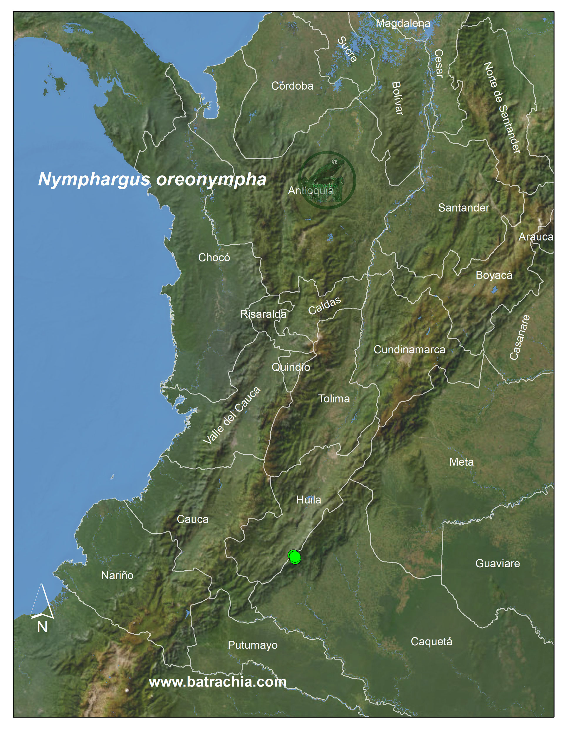 Nymphargus oreonympha - Lista de Los Anfibios de Colombia