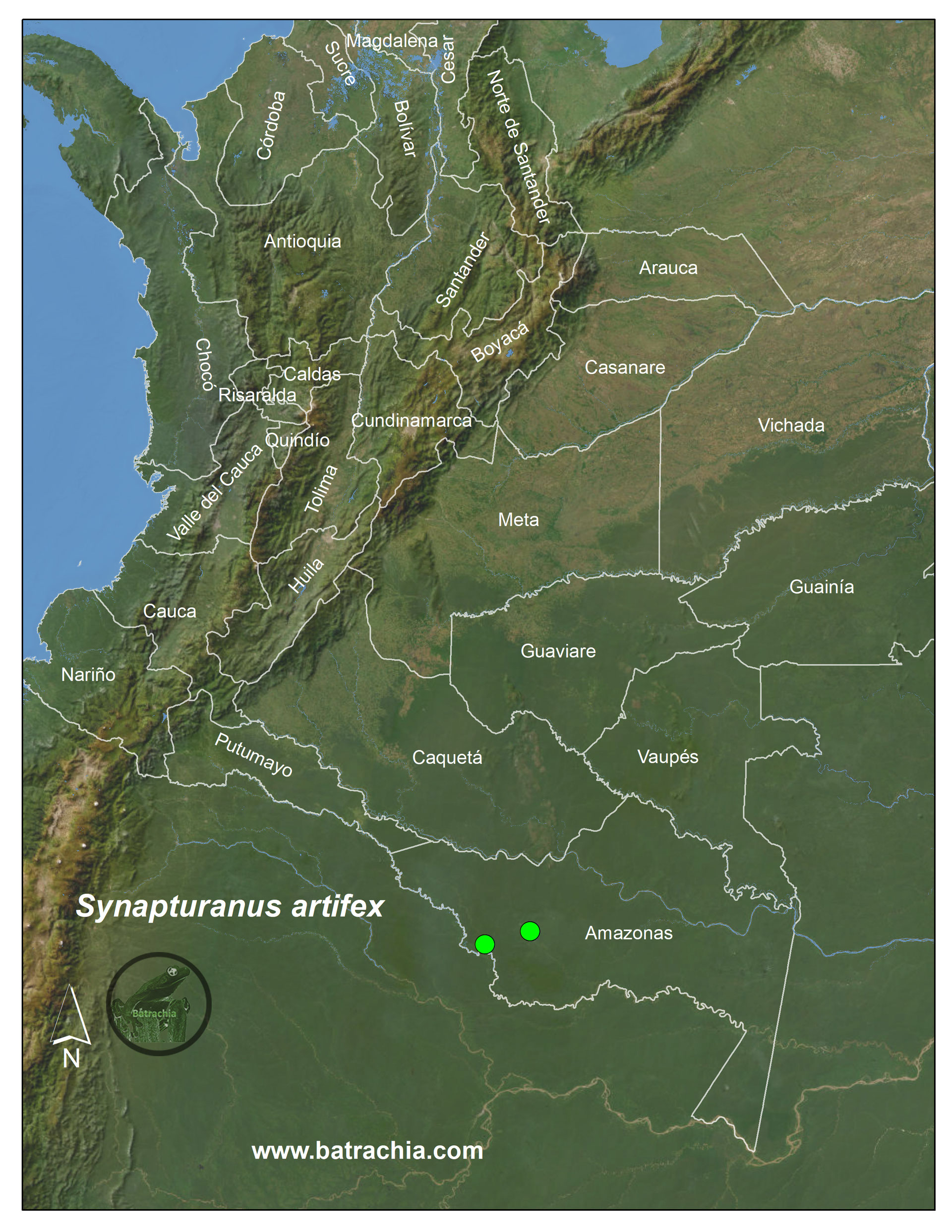 Synapturanus artifex - Lista de Los Anfibios de Colombia