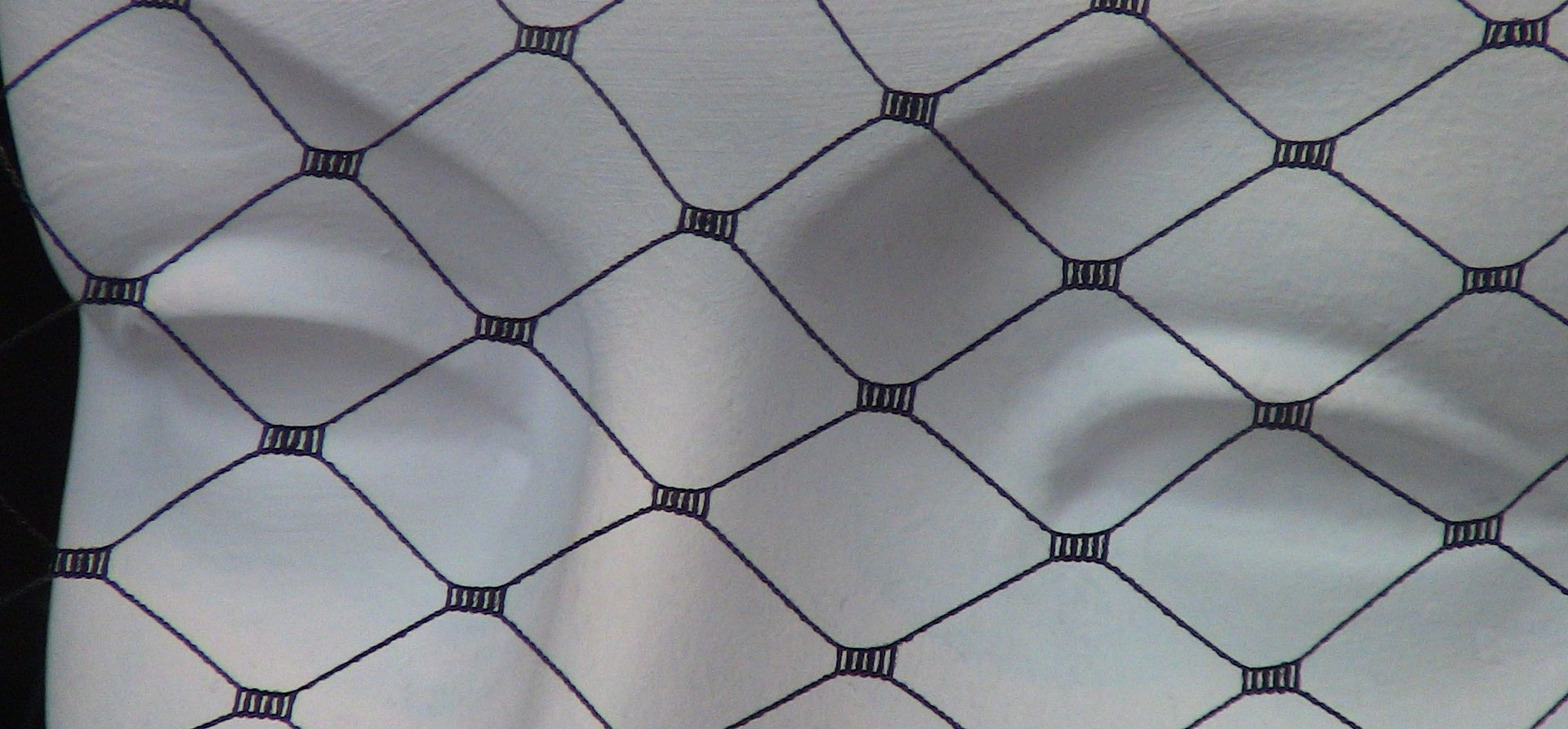 Venom Chic a novel - Eifion Evans - Venom Chic Eifion Evans