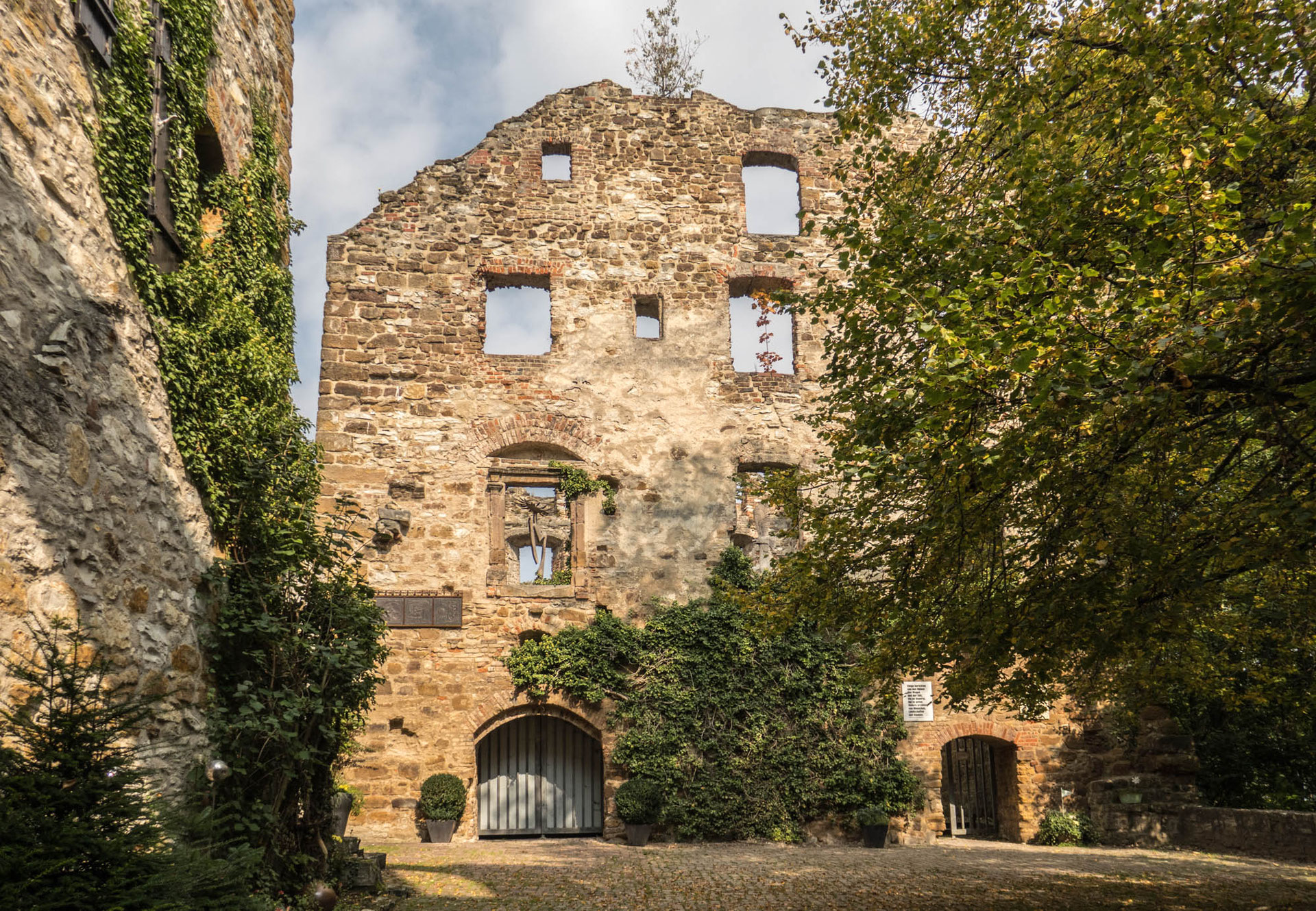 Burgruine Scharfenberg - SchlossSpross
