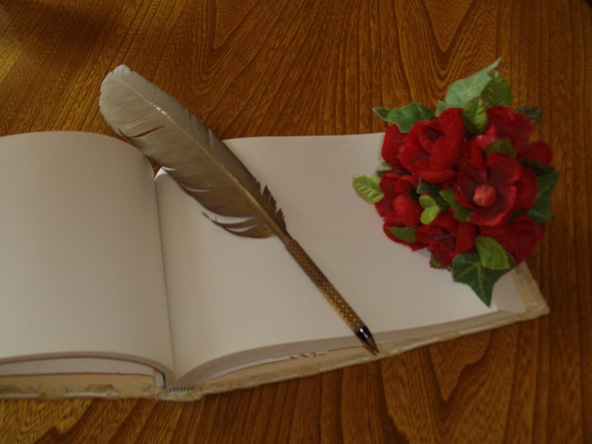 Accueil - Site de atelierplaisirdecrire2