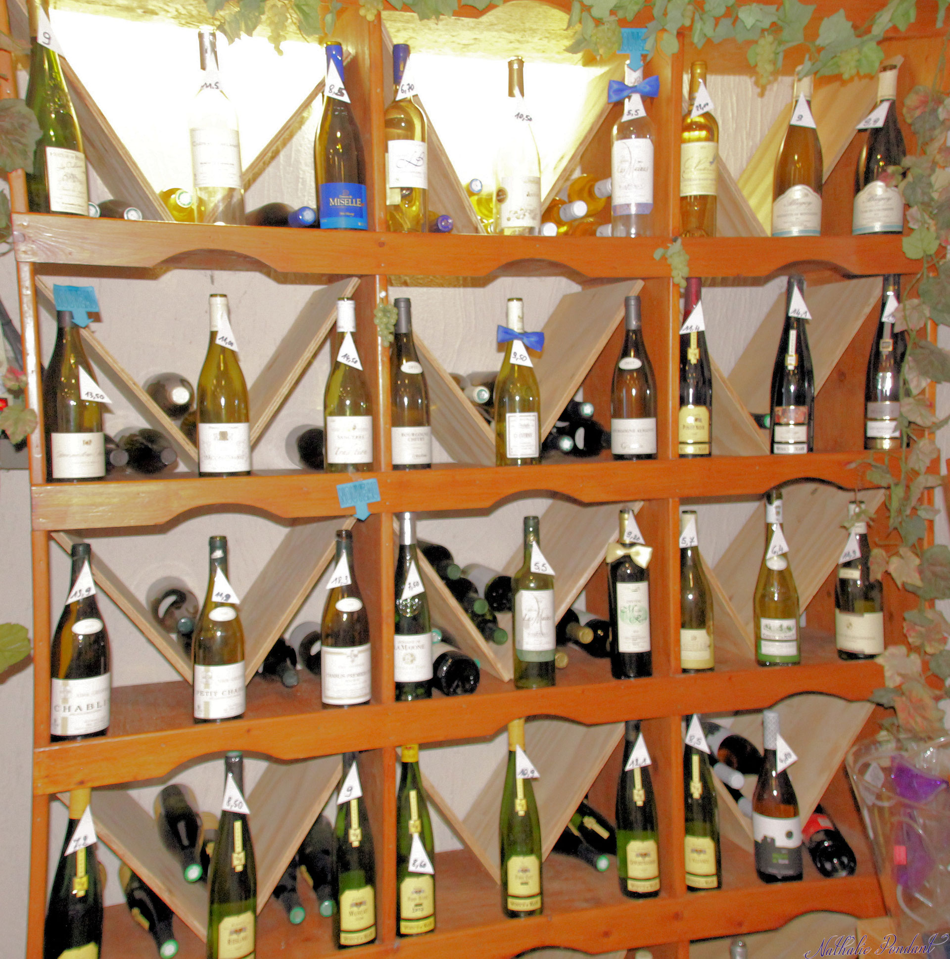 Le-Cellier-Du-Château - le-cellier-du-chateau