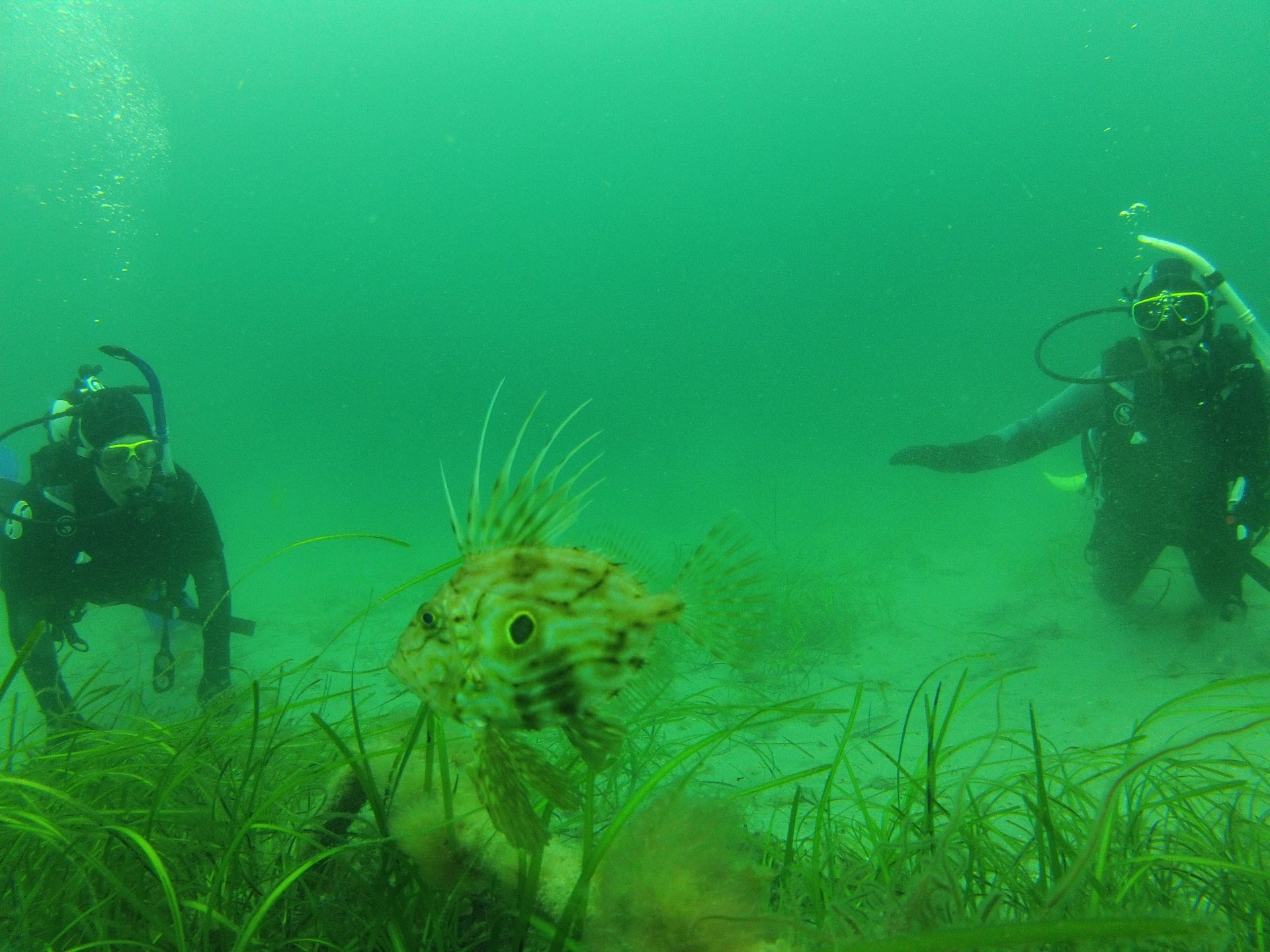 Scuba Diving - Wild Atlantic Outdoors