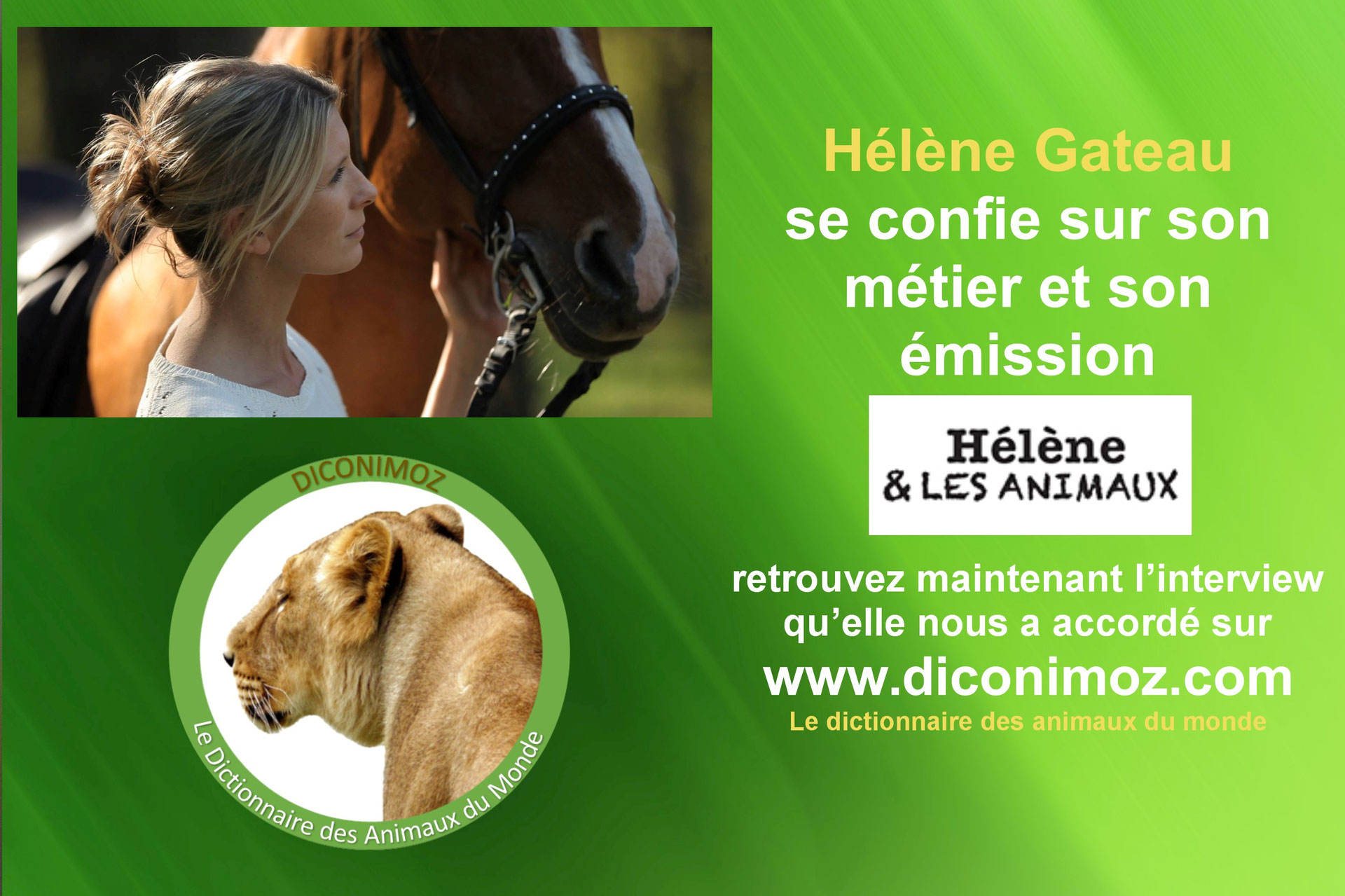 Journaliste animalier - Dictionnaire des animaux
