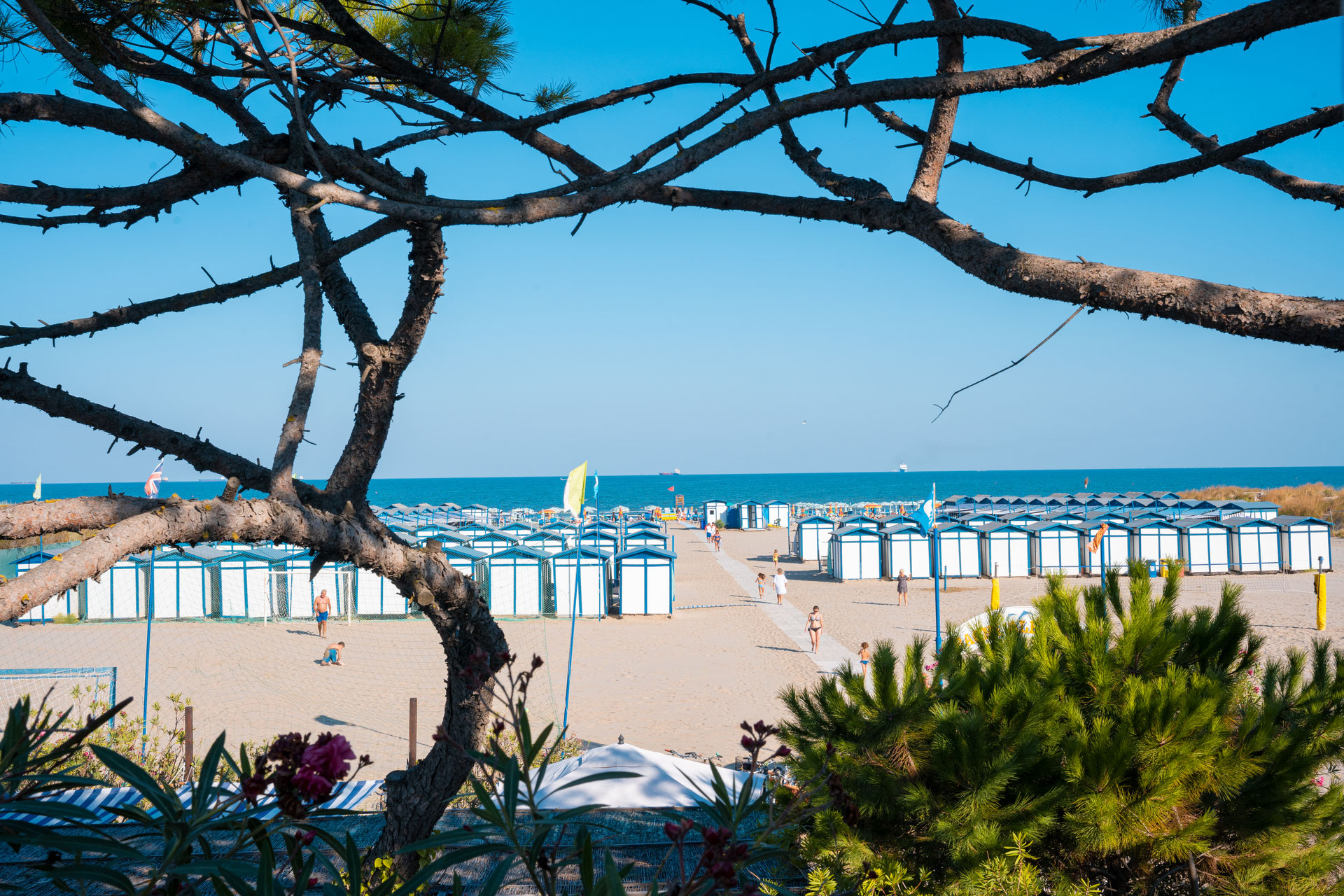 Home - Bagni Alberoni