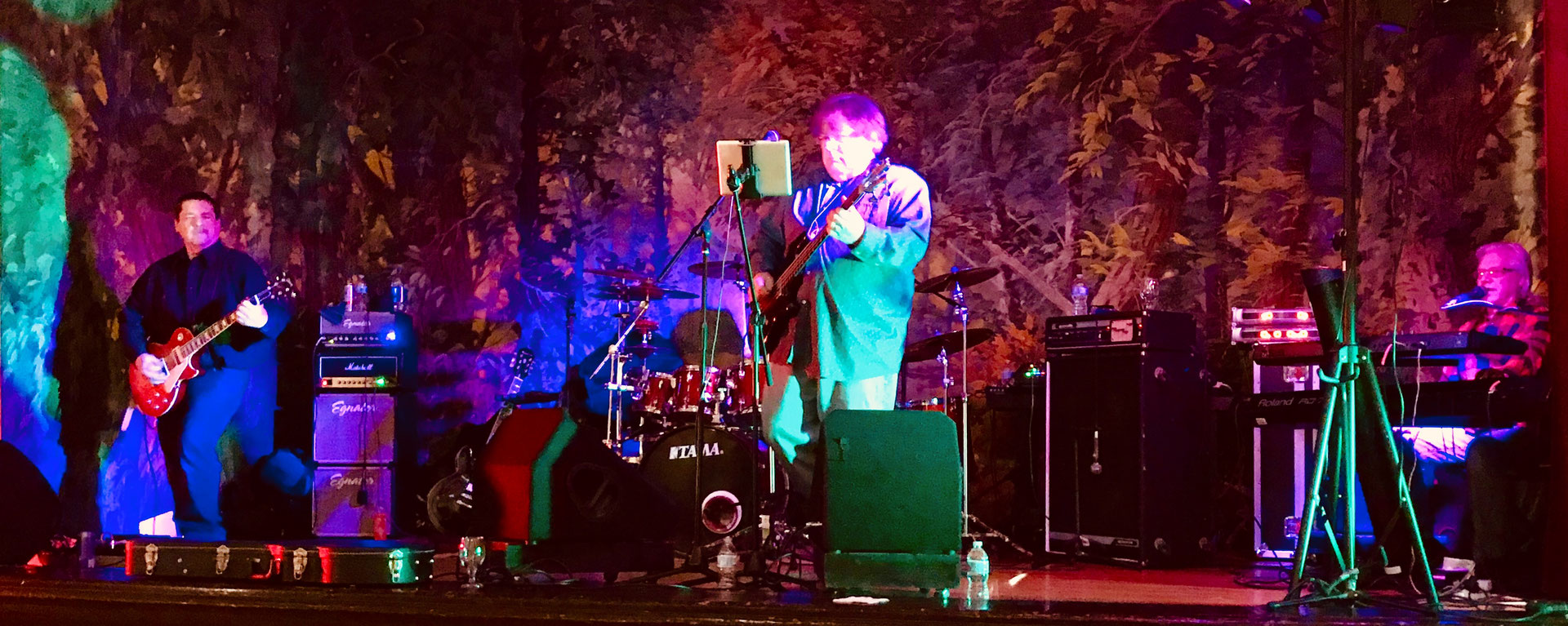 The ARIEL Story - arielband