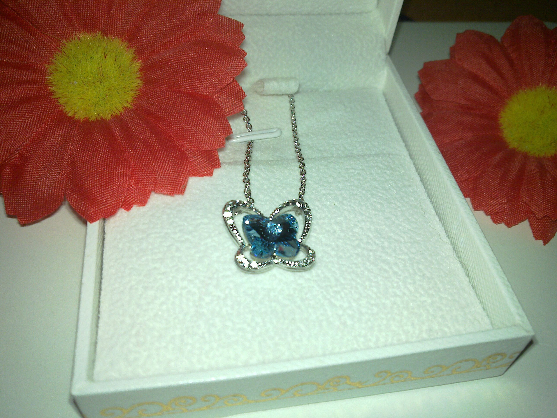 Lady Colour - giselatestetmitherzs Webseite!