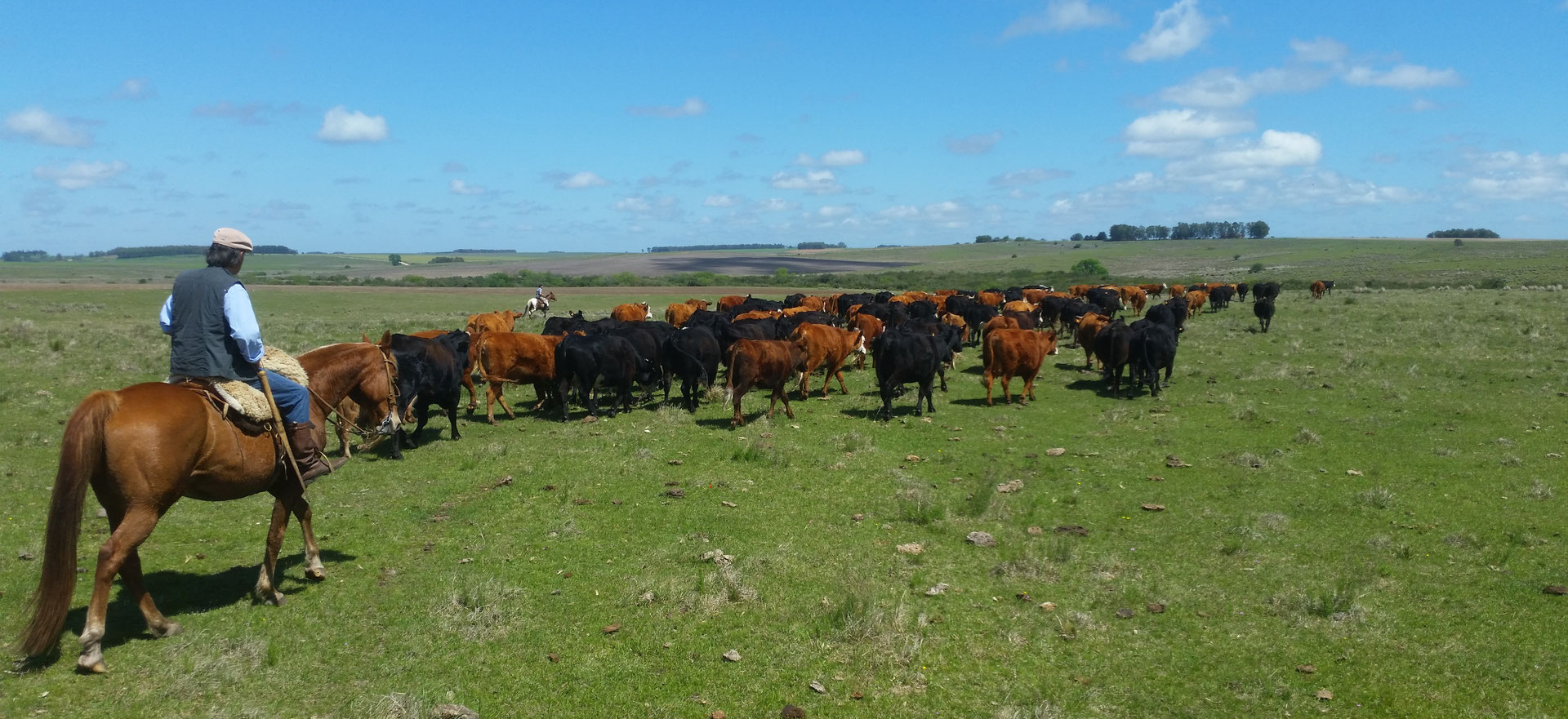 Gaucho's life - Estancia Turistica La Amorosa, Vacanze a cavallo, Ranch ...