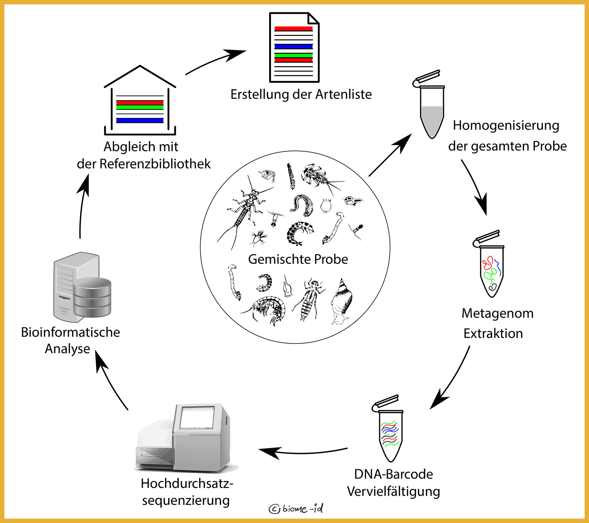 DNA-Metabarcoding - biome-id