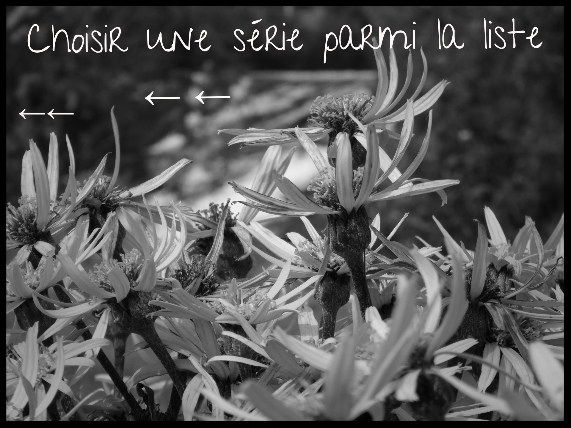 Oeuvres - Blogue de Lise Cormier, artiste, peintre, photos, créations ...