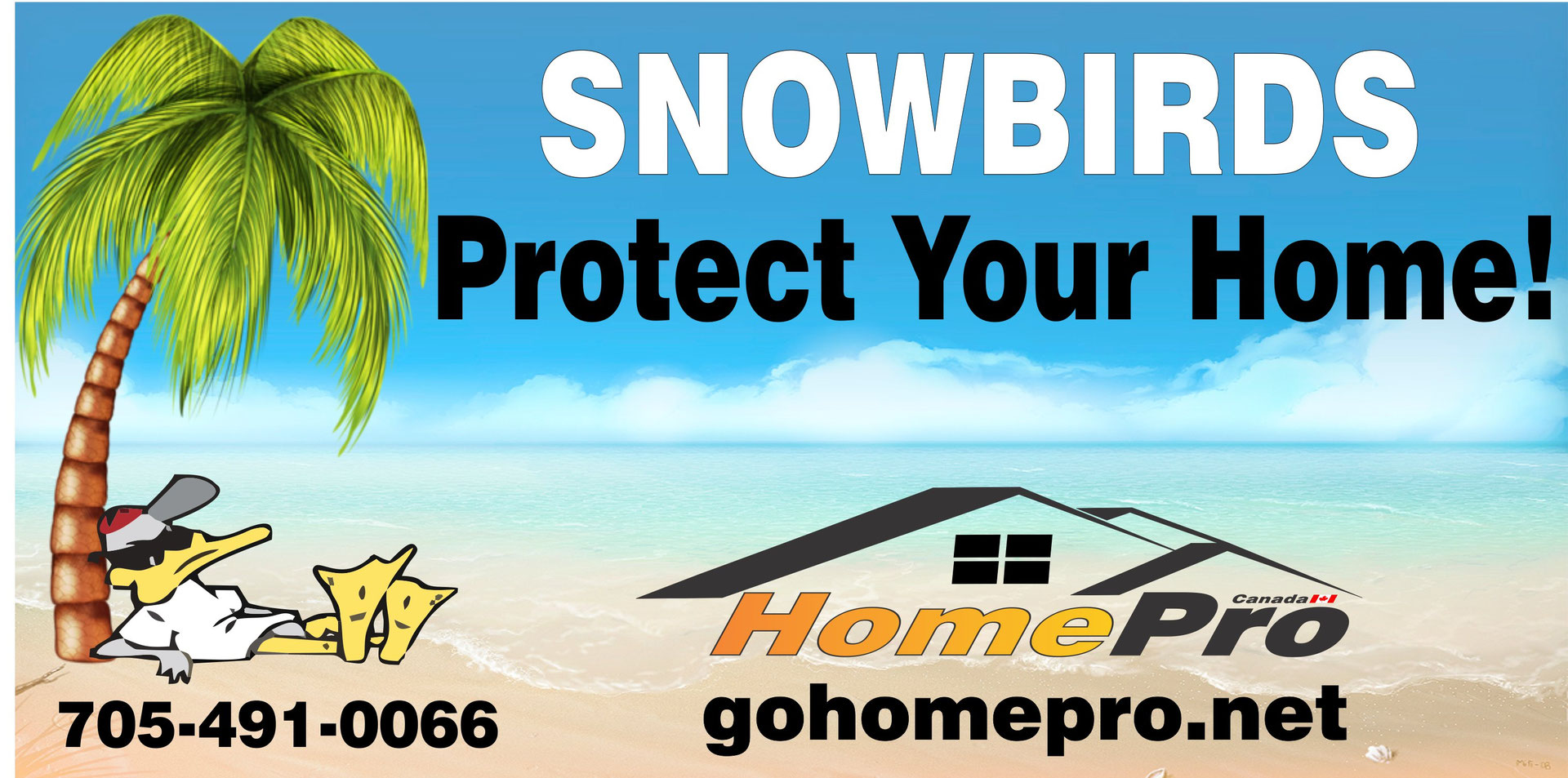 HomePro Canada - HomePro Watch - HomePro Canada