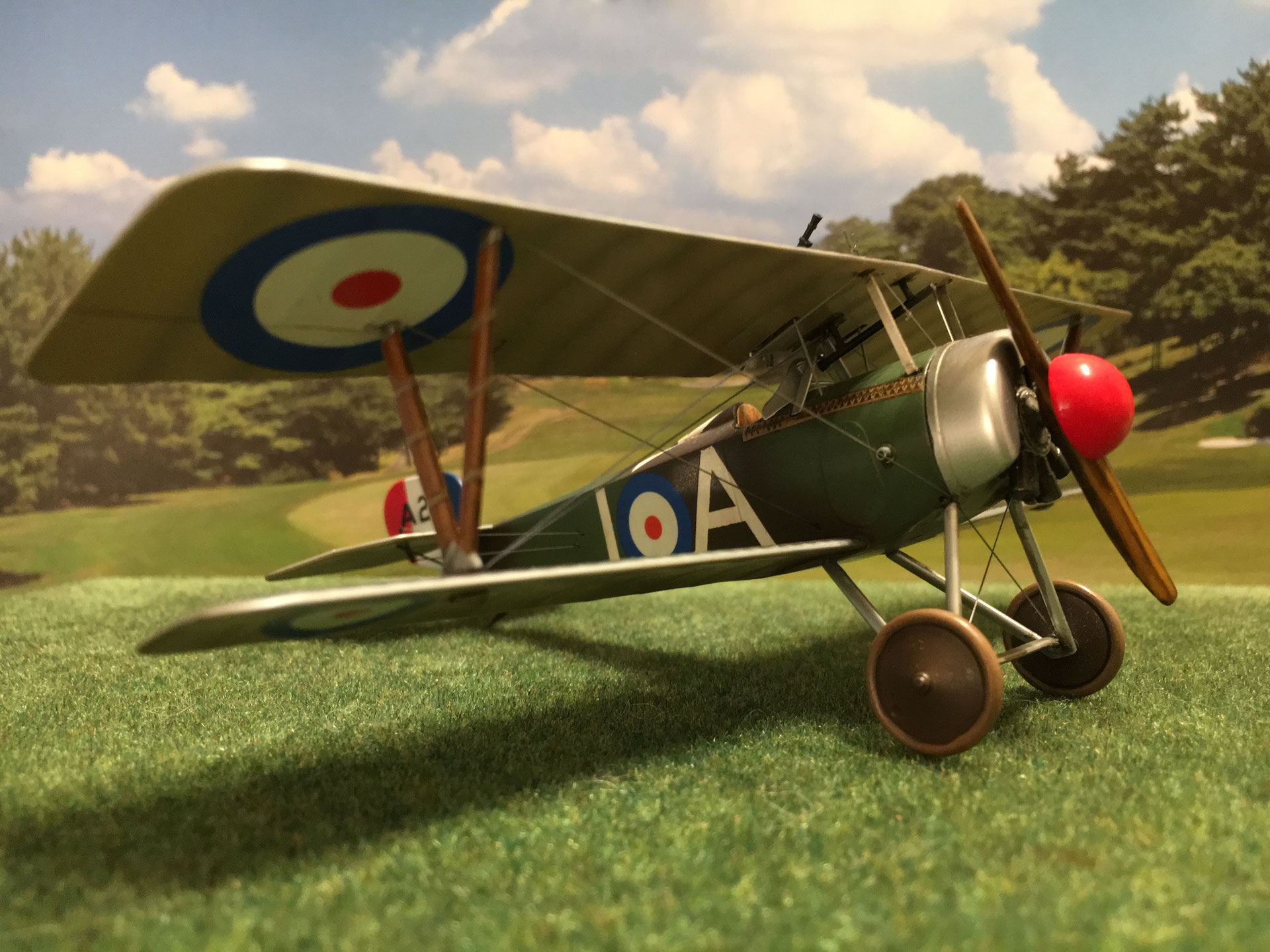 Albert Ball((44kills) - WW1 Aces
