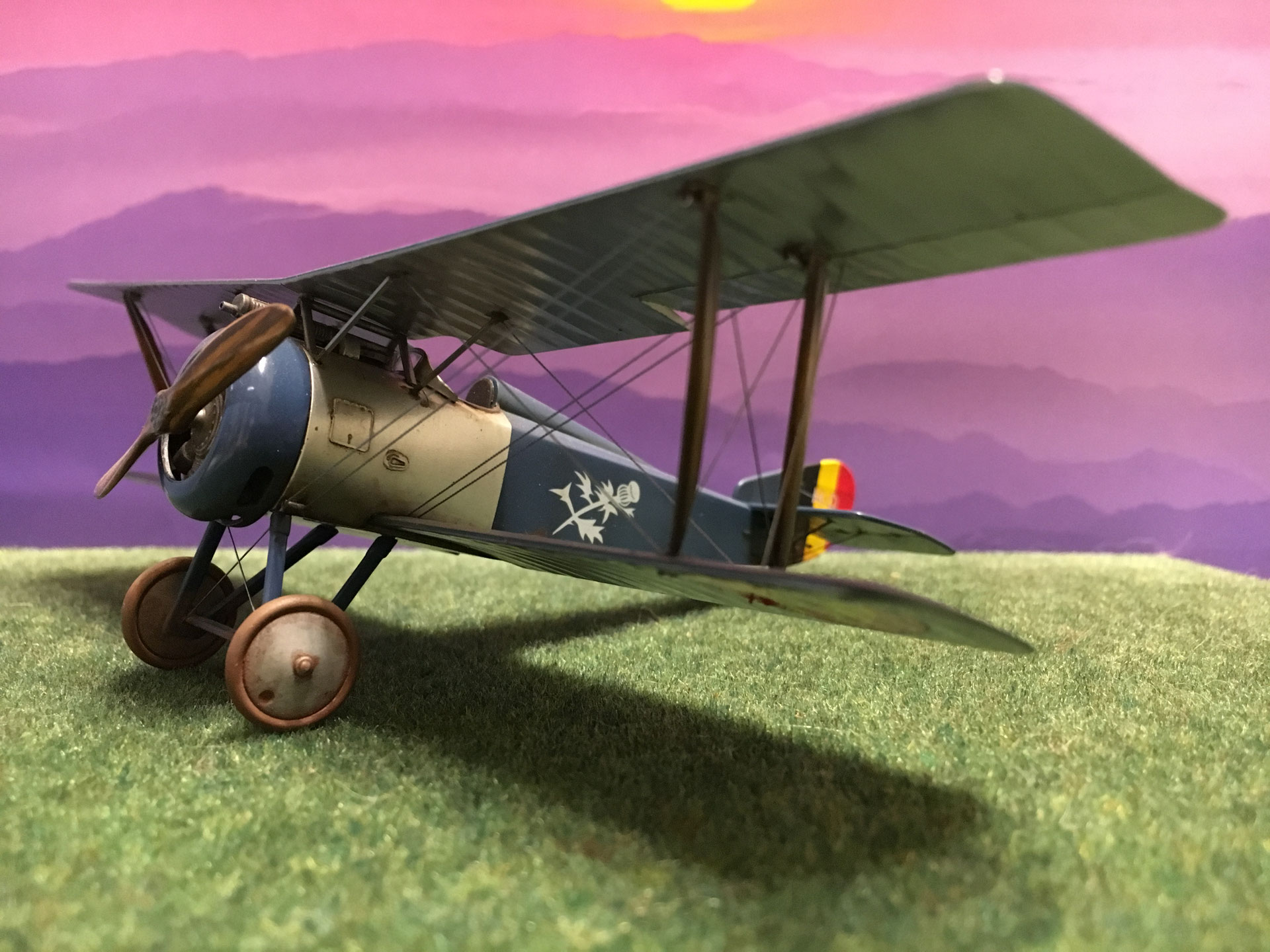 Willy Coppens(37kills) - WW1 Aces