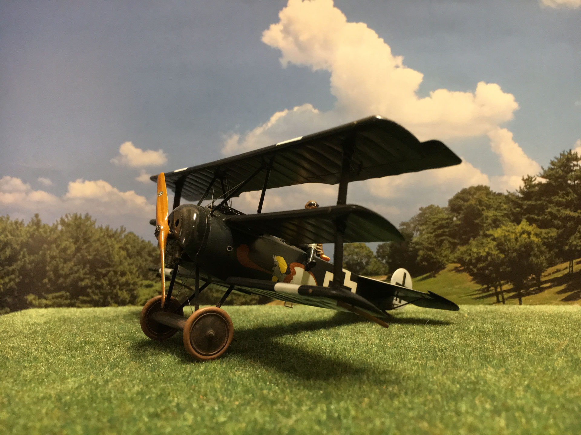 Josef Jacobs(48kills) - WW1 Aces
