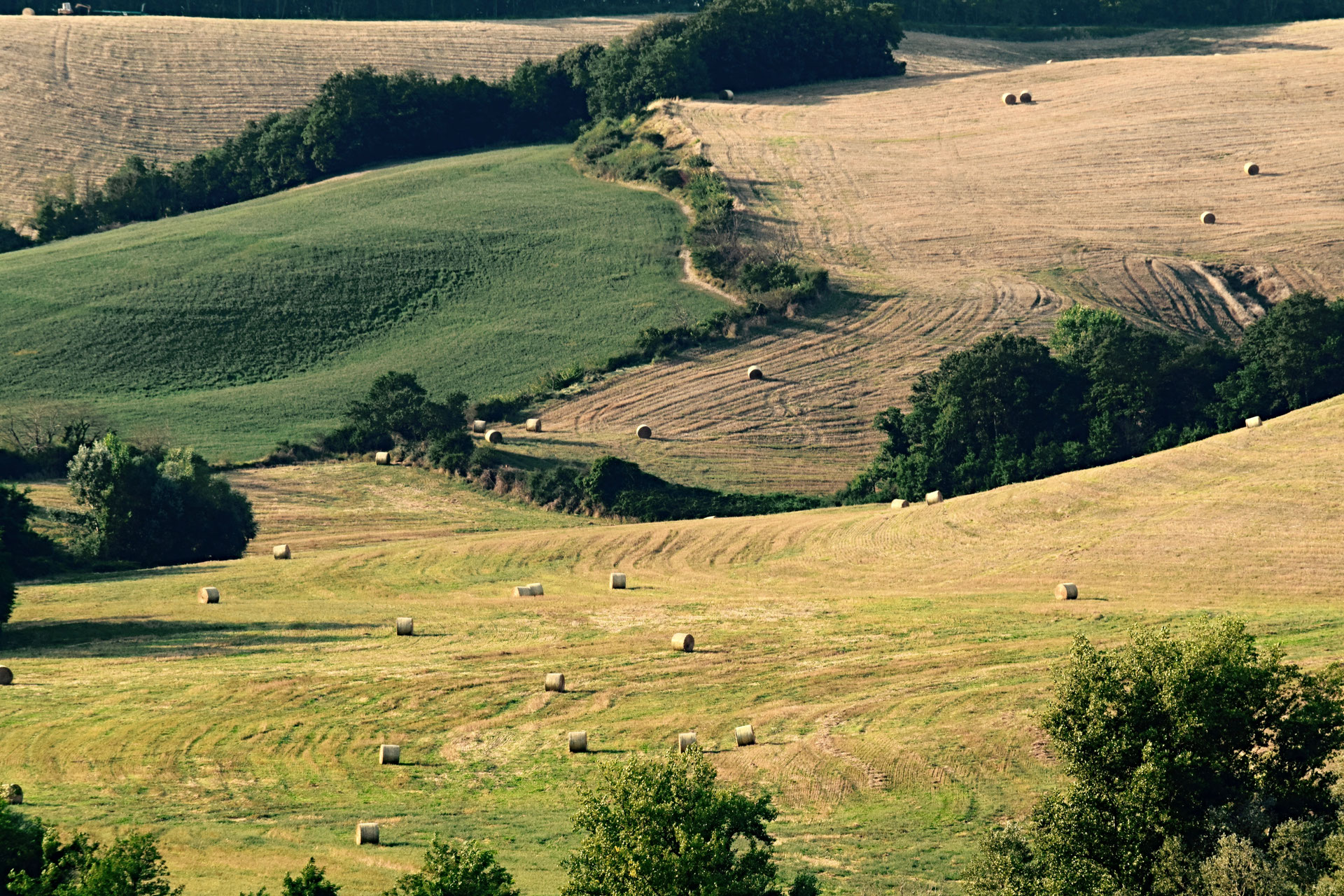 Surroundings - De website van poderepieberti!