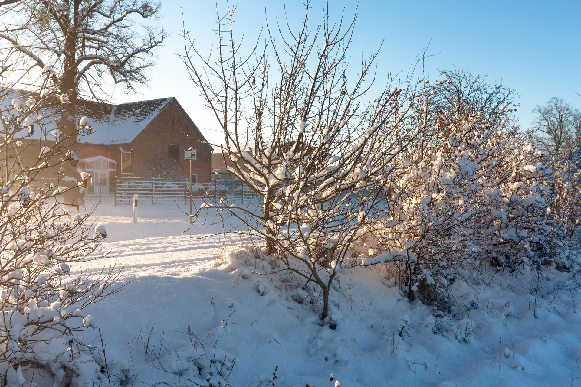 Winterliche Impressionen - jpw-photography.jimdo.com