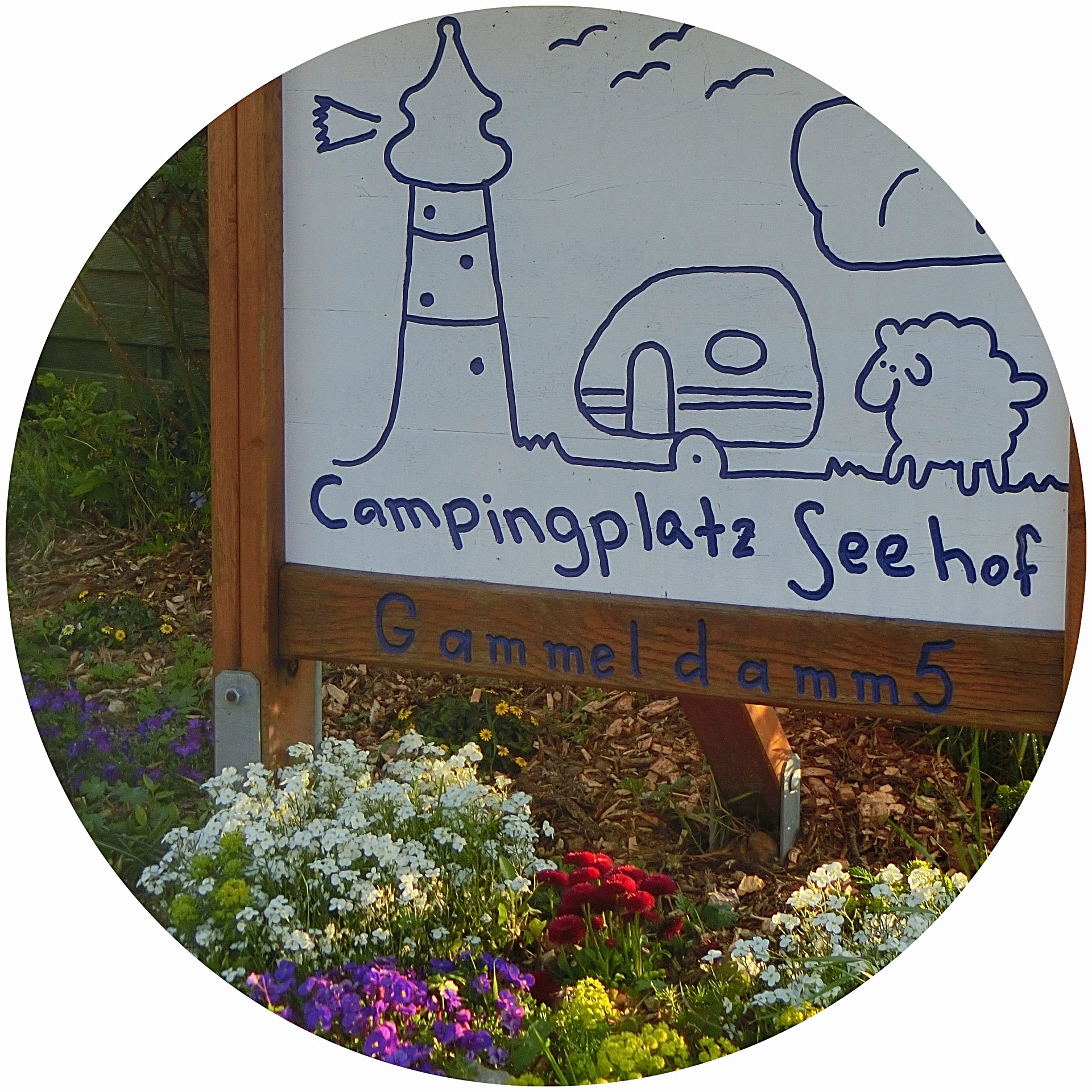 Direkt an der Ostsee - Campingplatz Seehof an der Ostsee