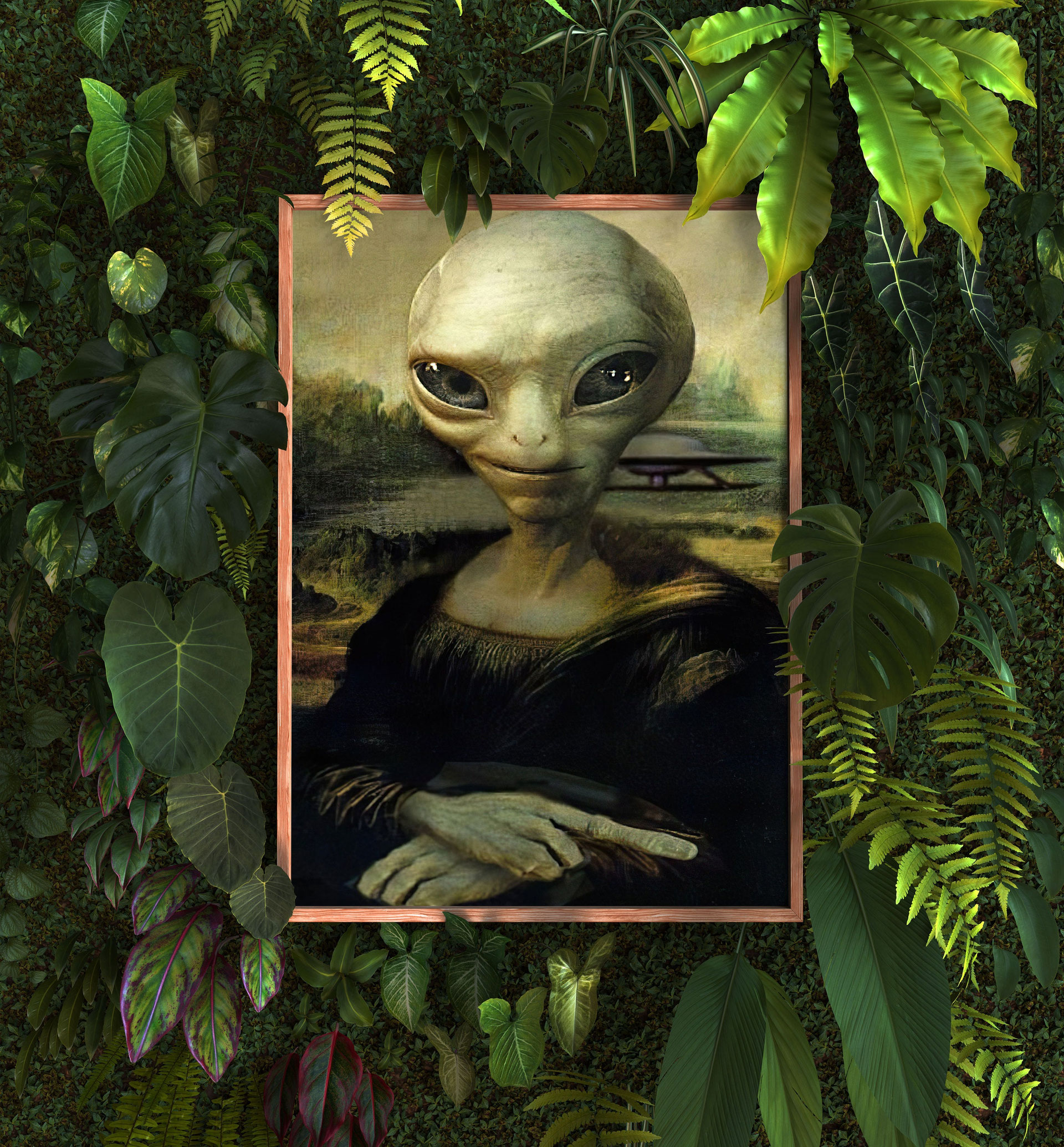 Разница между Alien, Foreigner и Stranger - Лучший репетитор по ...