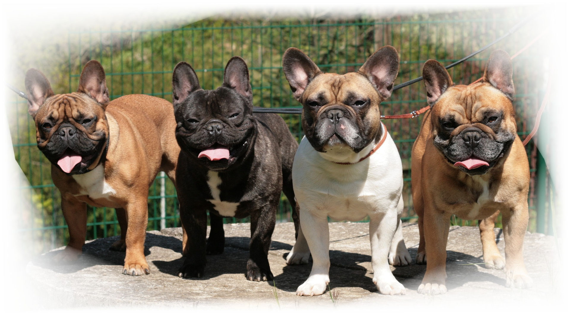 Über uns - bully-ranch-schoenbergs Webseite!