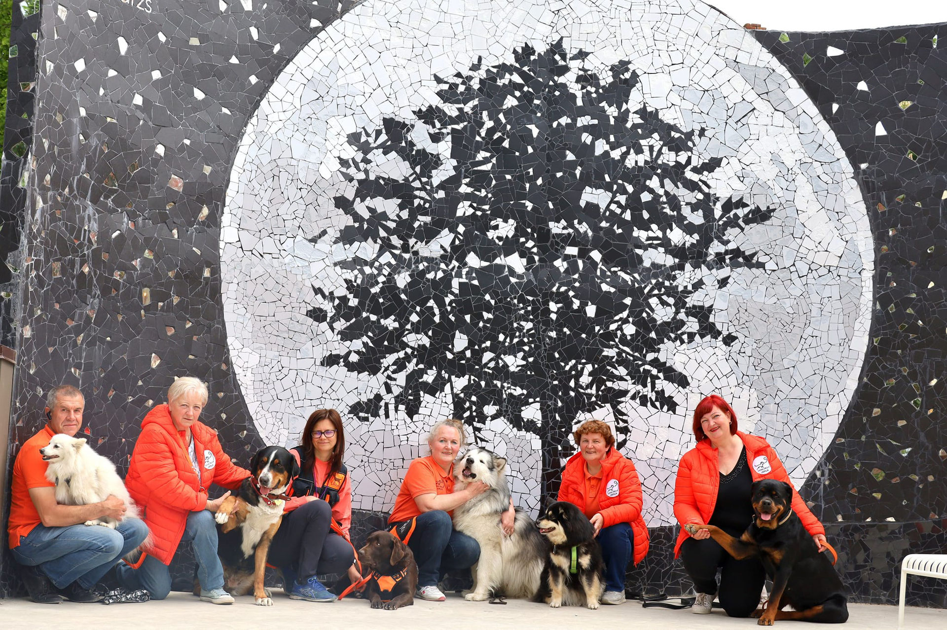 rottweiler - rotws jimdo page!