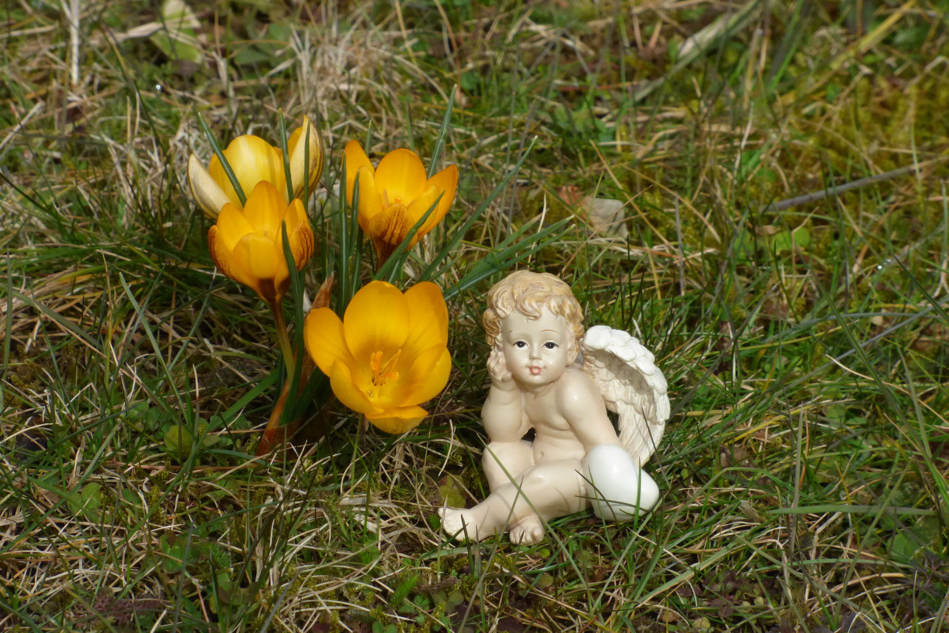 Frühling - Autorin Renate Roos, Fachinger,Über allem steht die Liebe ...