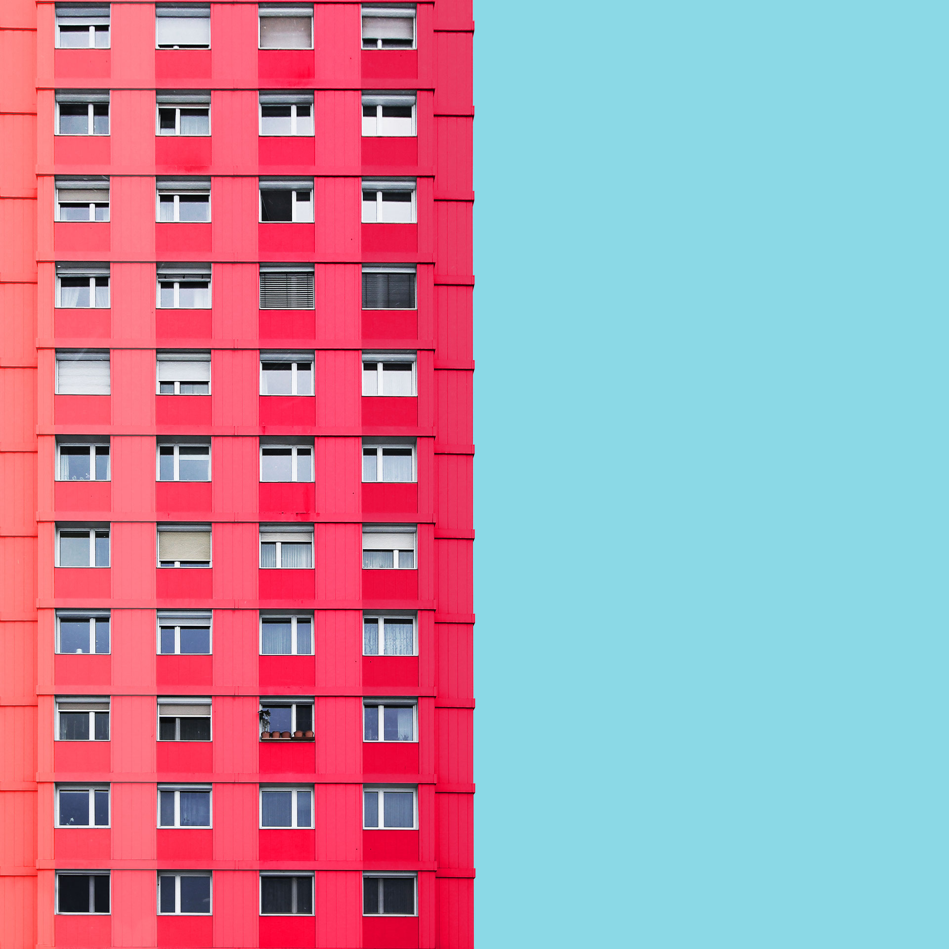 Shades of pink - PAUL EIS - architecture and photography