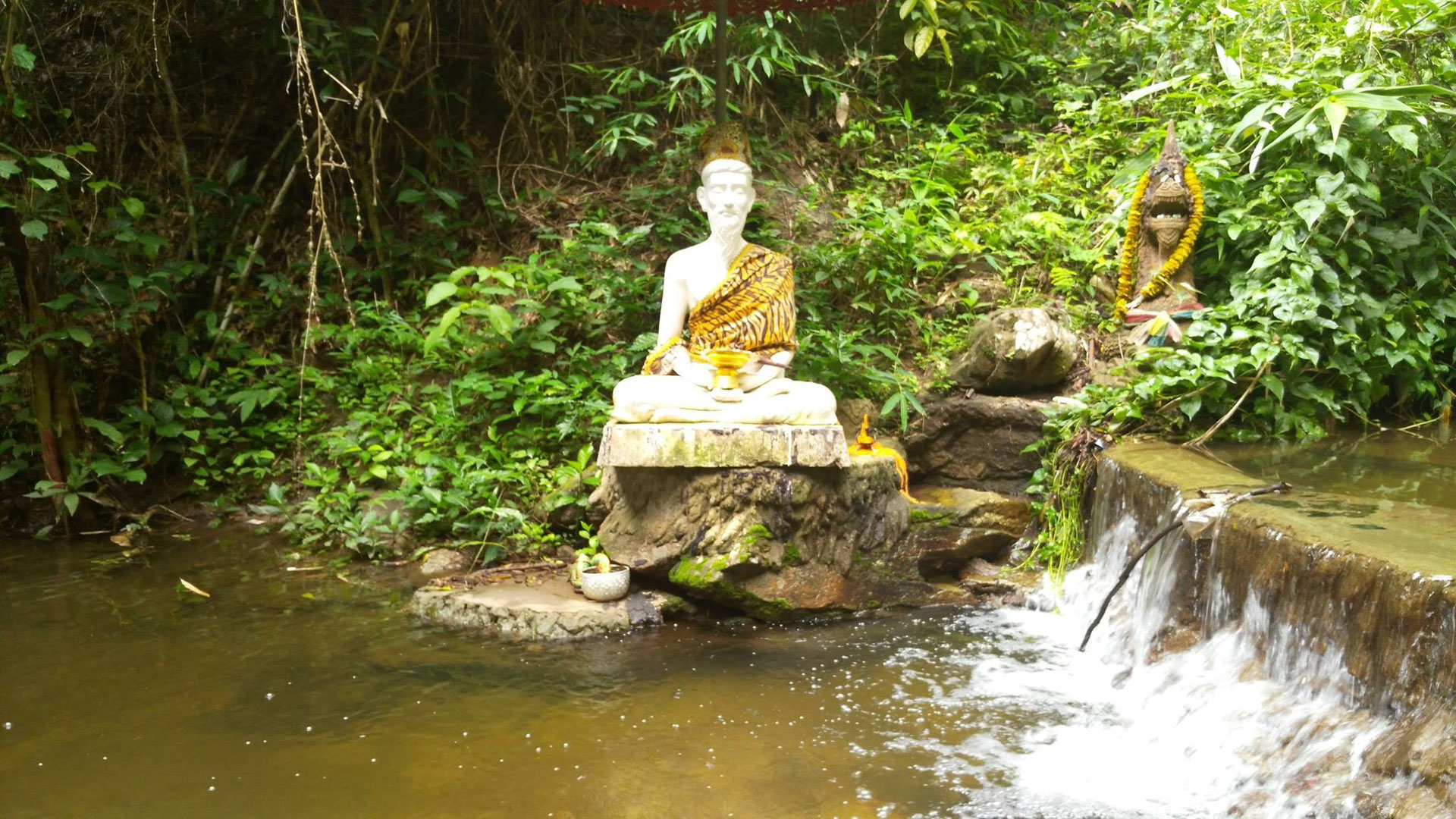 ZEN WeekEnd - Site de zenhousegarden