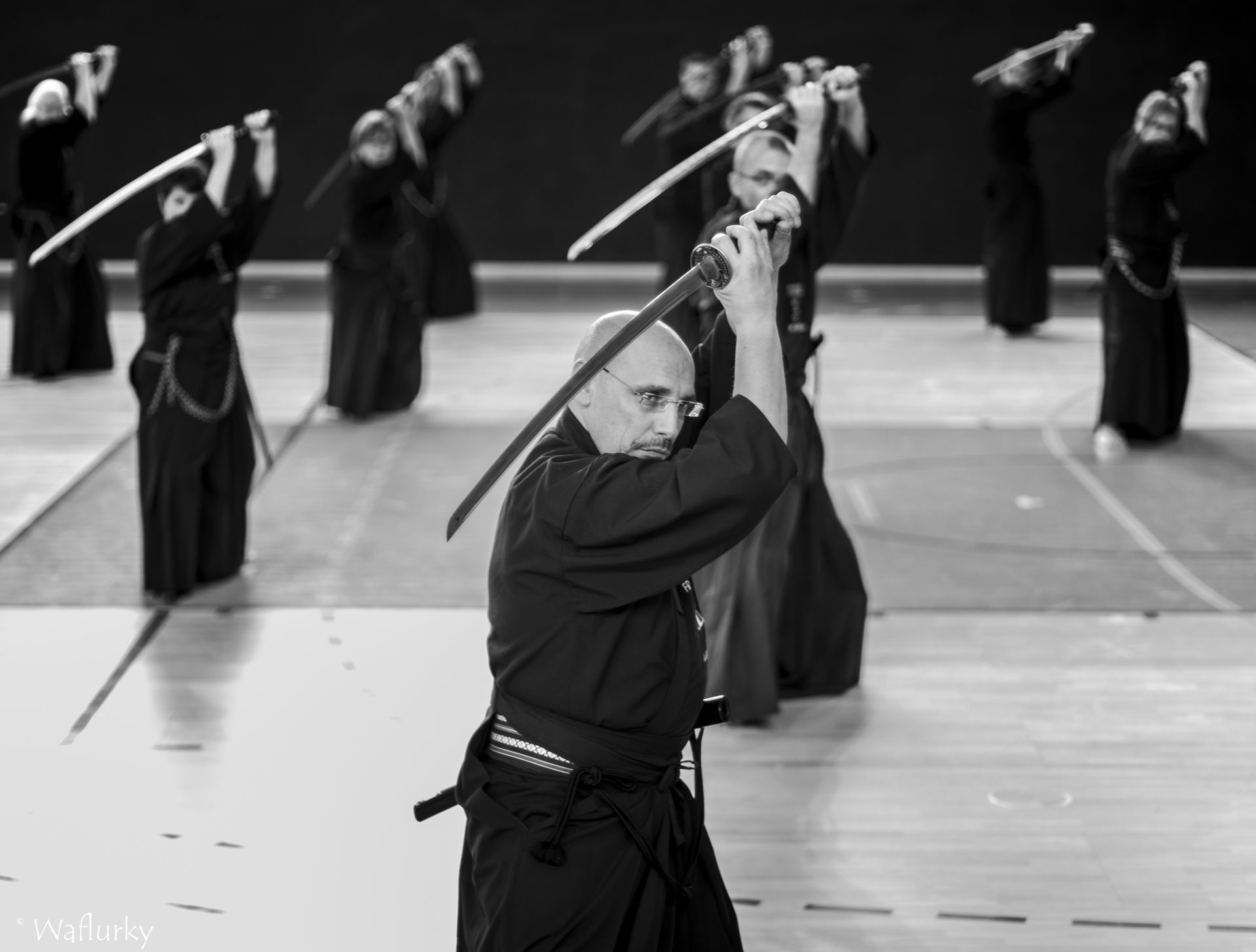 La pratique du iaido - Shoyukan Iaido