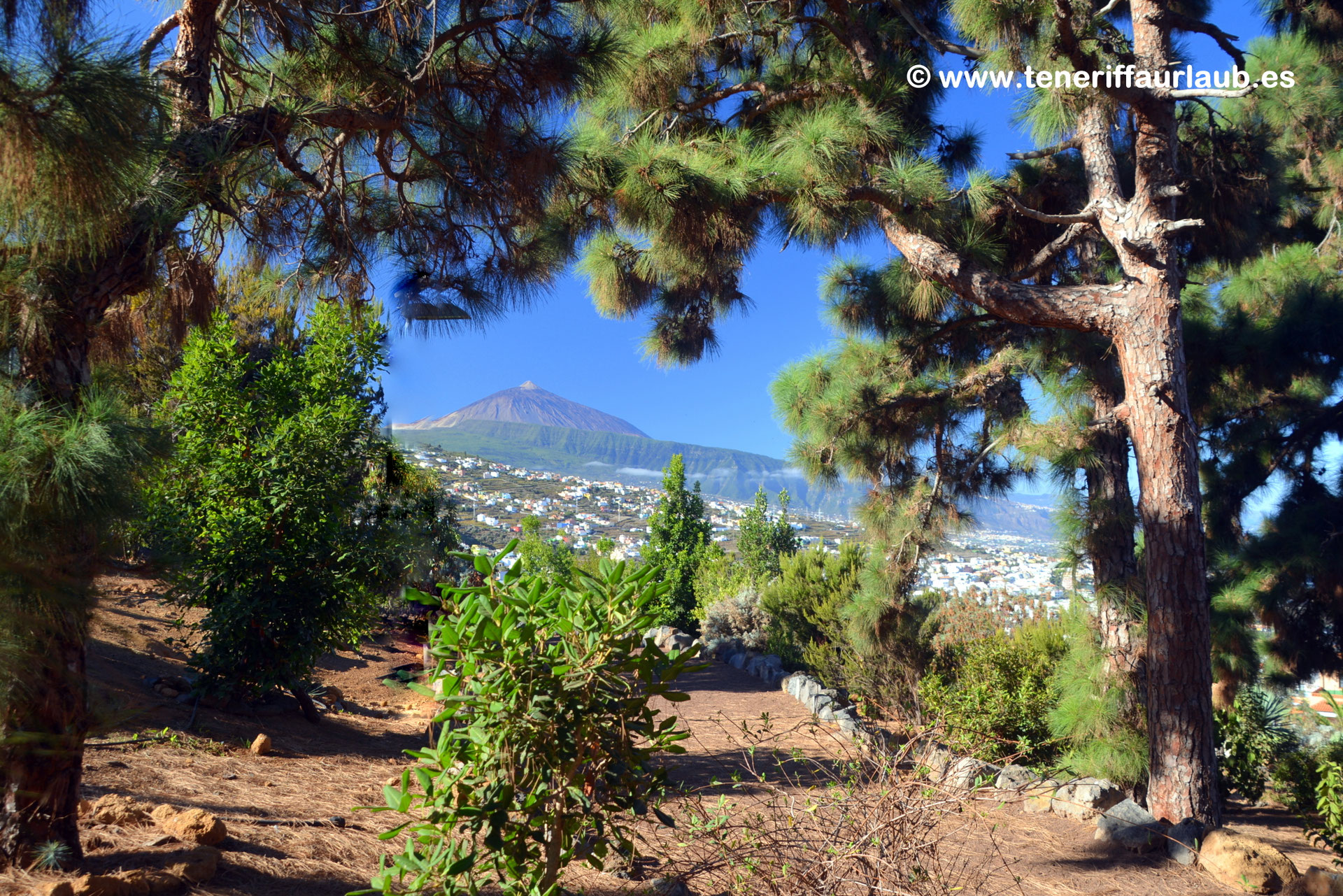 Parque El Pinar - La Victoria - Reiseführer Teneriffa