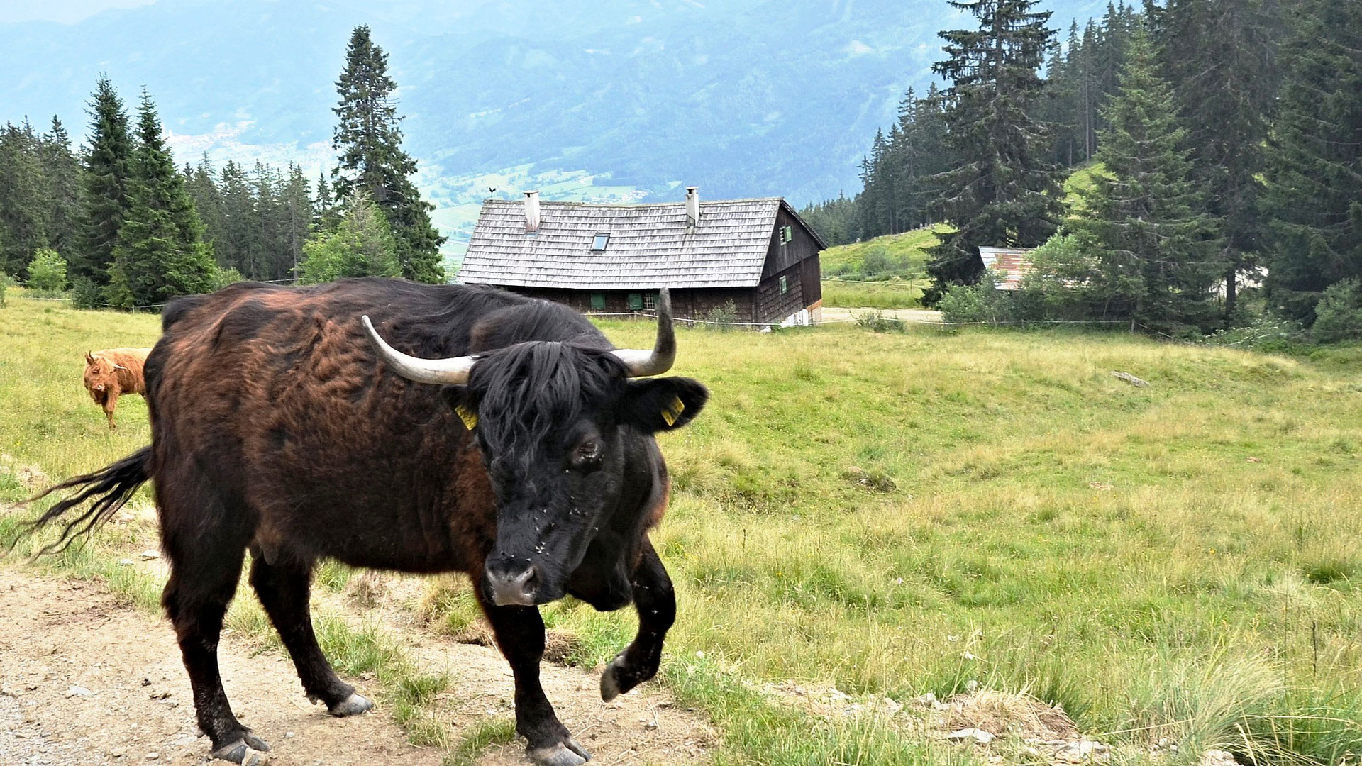 Bergtouren - guttis jimdo page!