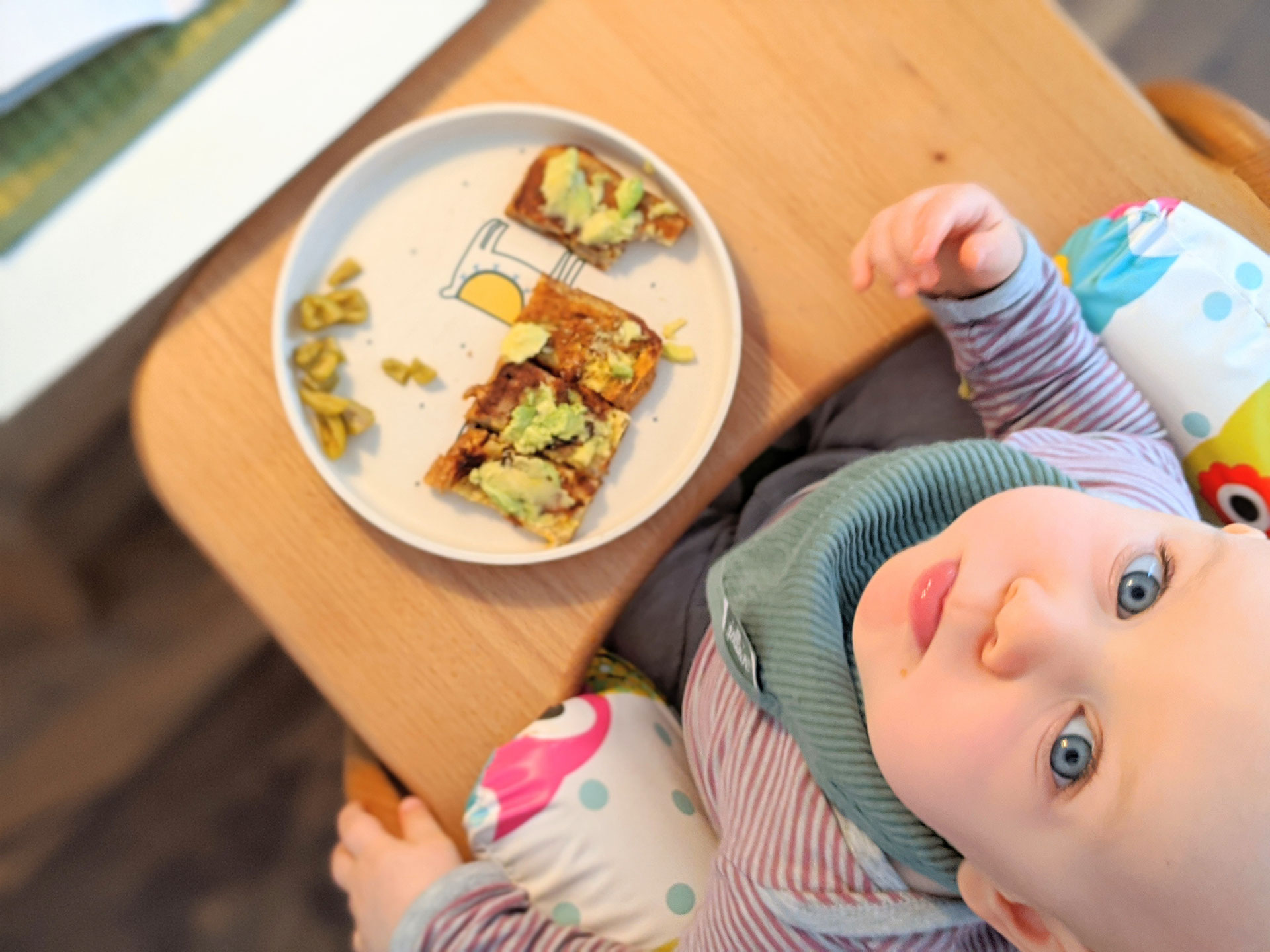 Beikost-Ausstattung: Praktische Alltagshelfer für den Anfang ...