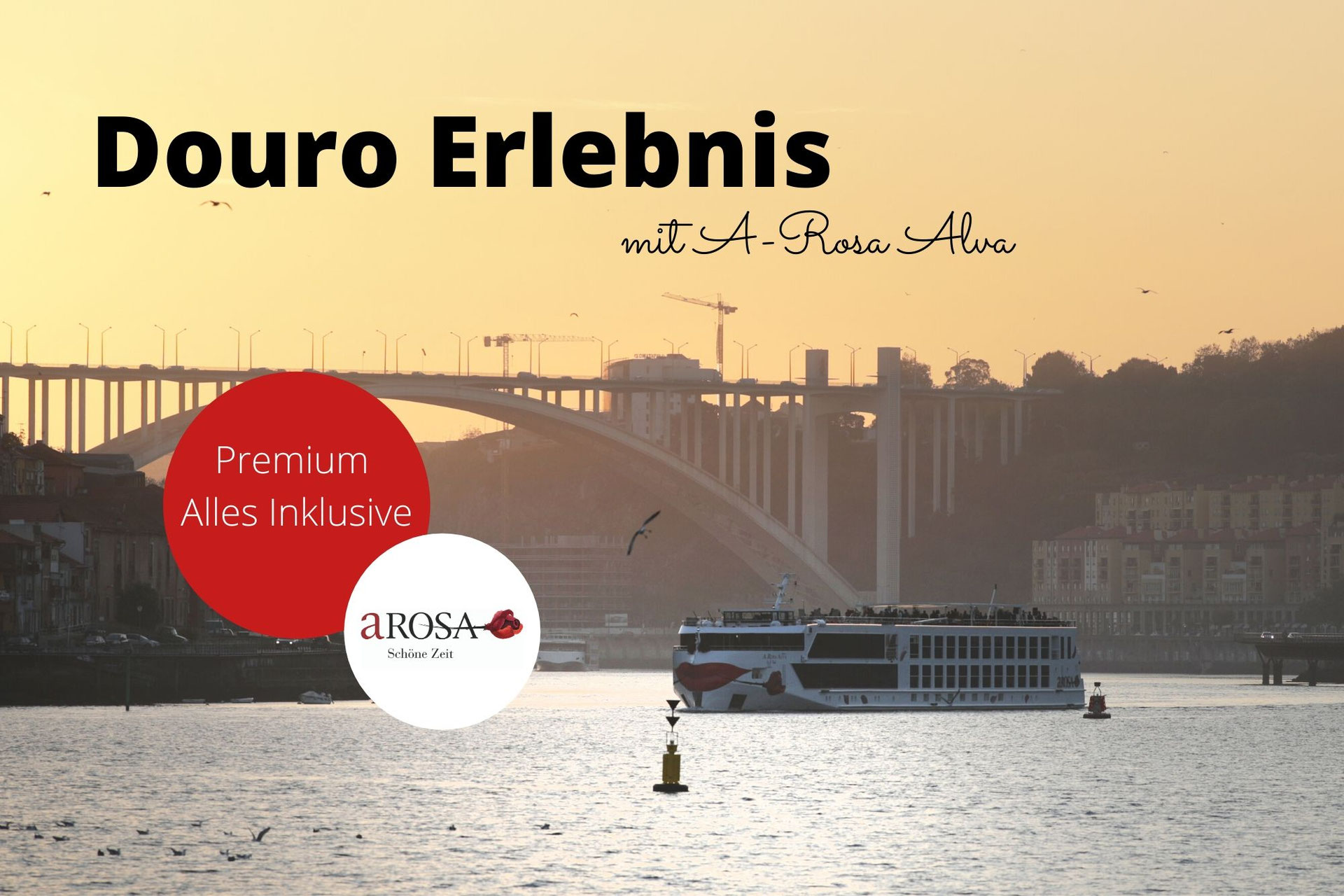 Sommerurlaub 2020 mit A-ROSA ALVA - Douro Erlebnis inkl. Flug - Cruise ...