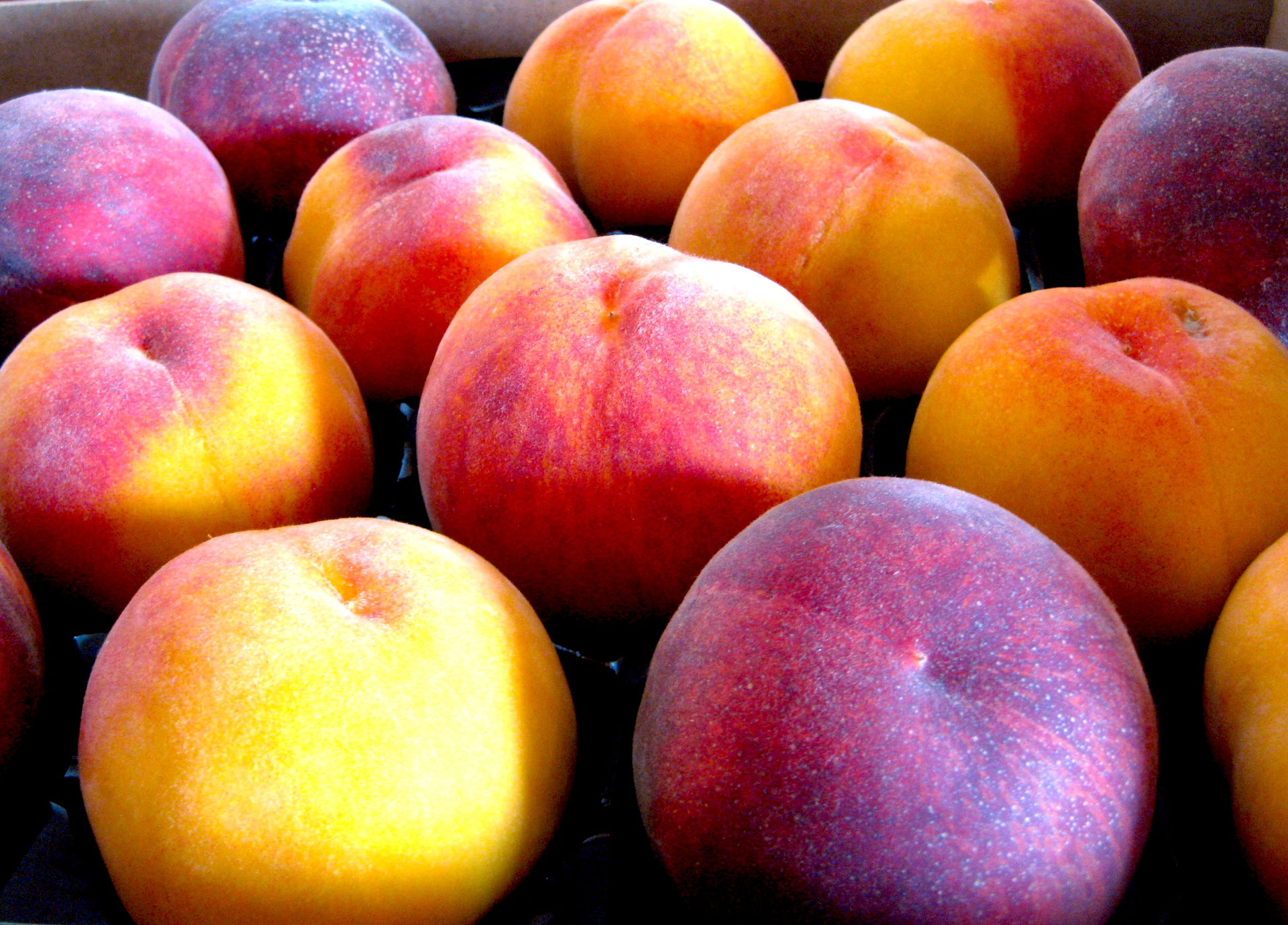 Breskve - sadnicetresnje