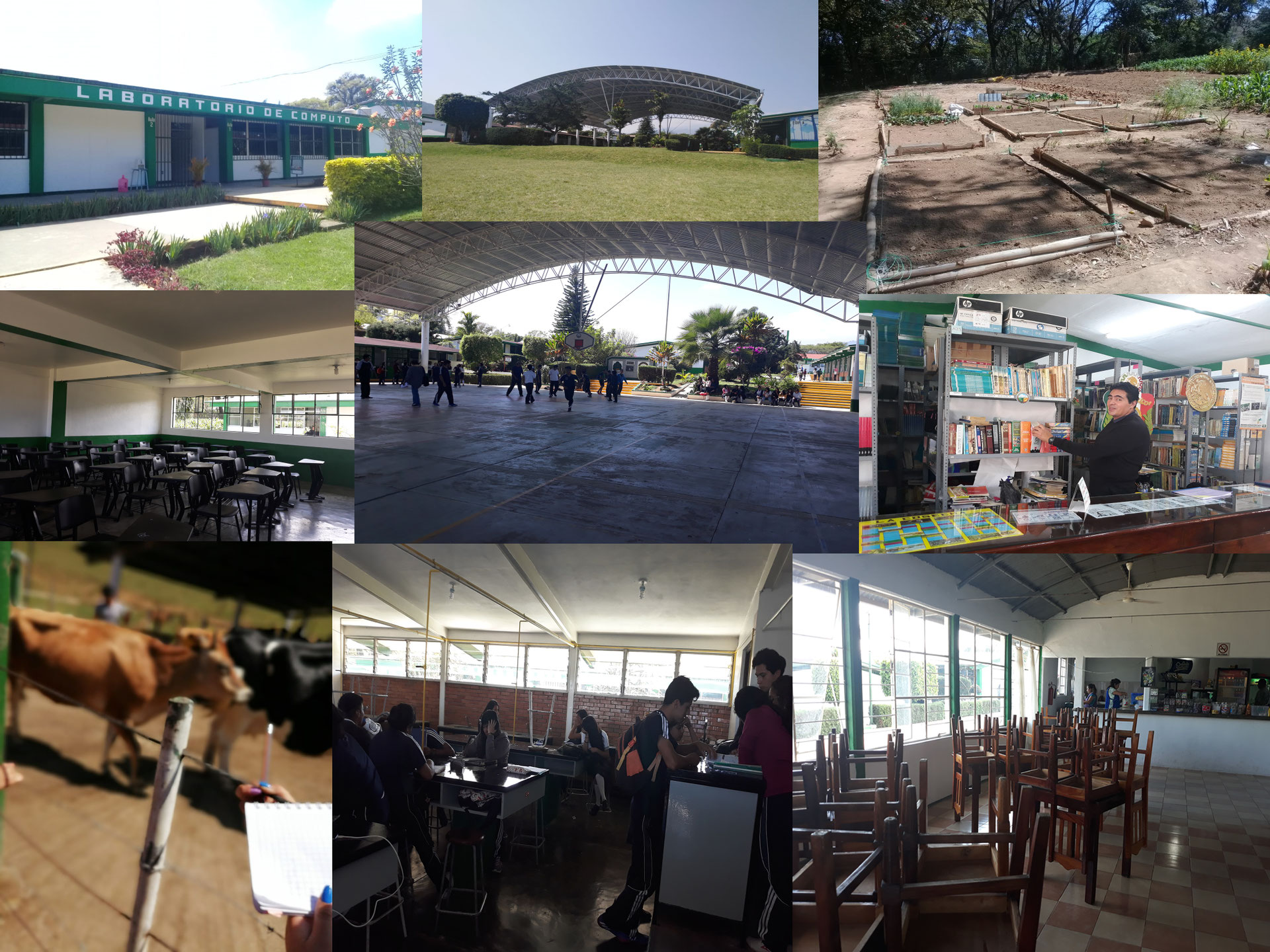 infraestructura - Página web de cbta99equipo4